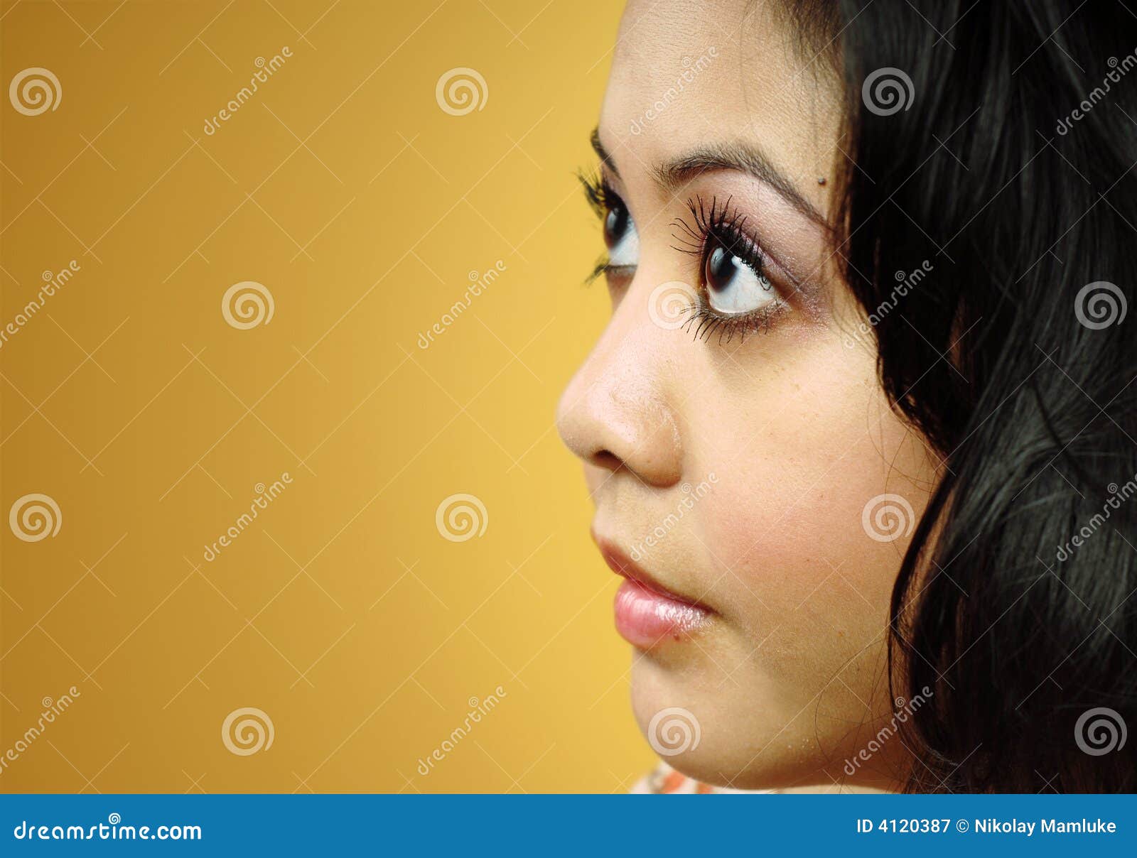 Female profile stock image. Image of curious, beauty, decision - 4120387