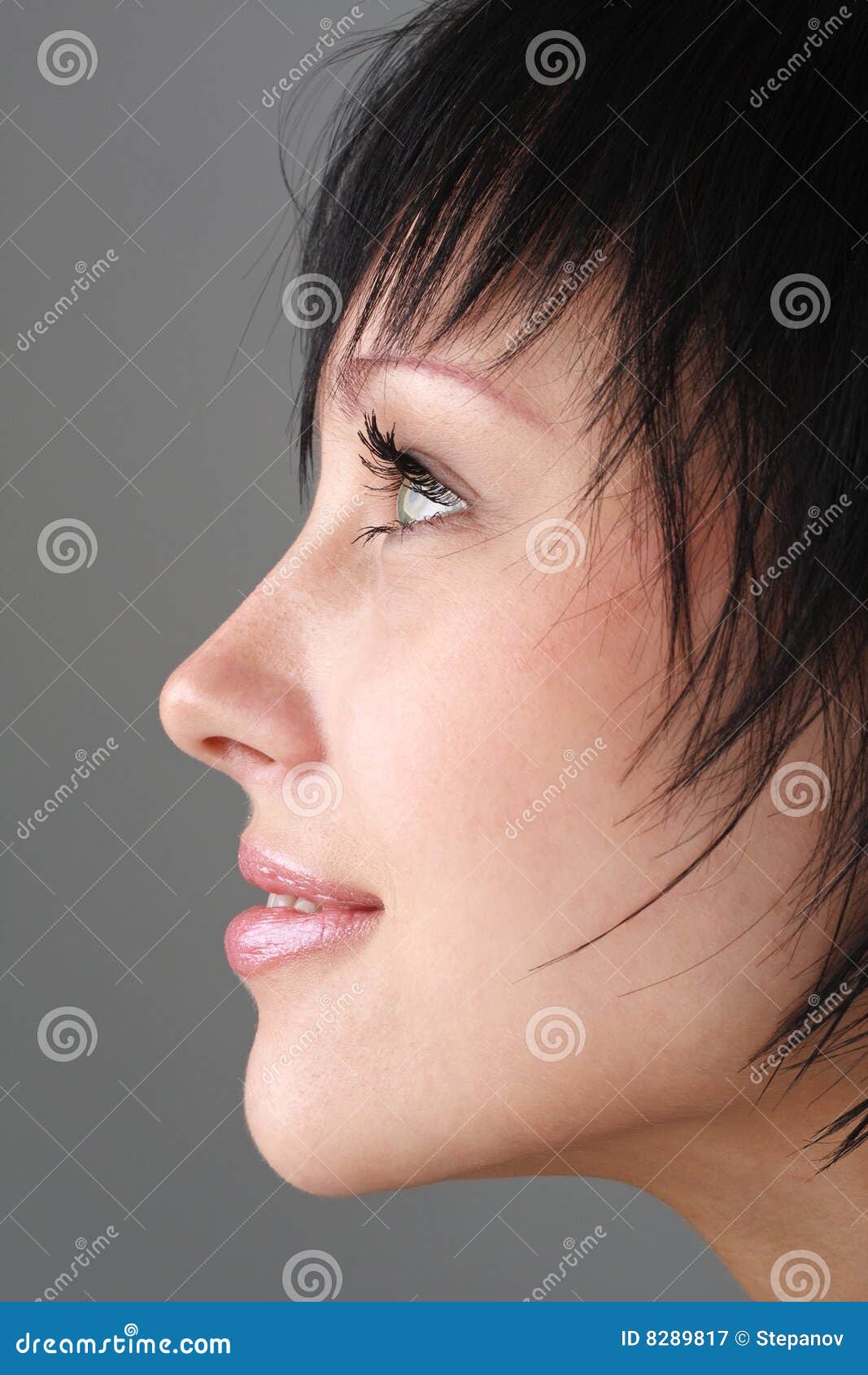 Female profile stock image. Image of young, pretty, adult - 8289817