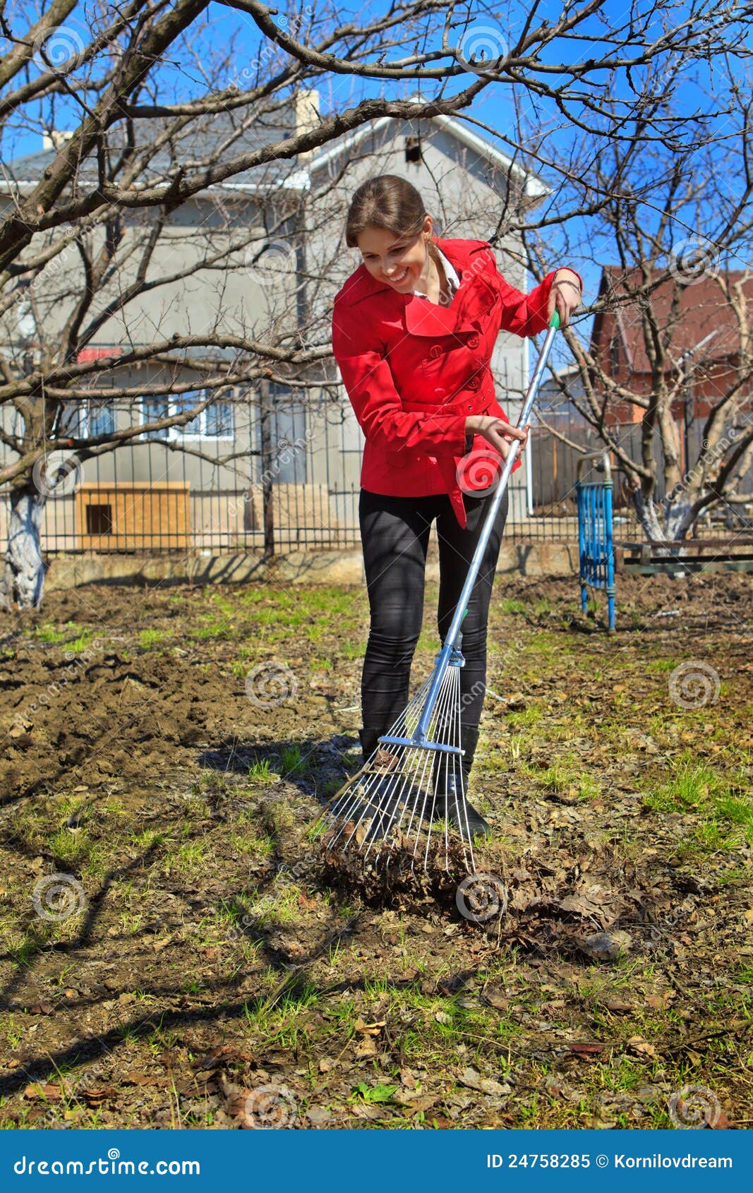 Female with rakes stock image. Image of botany, soil - 24758285