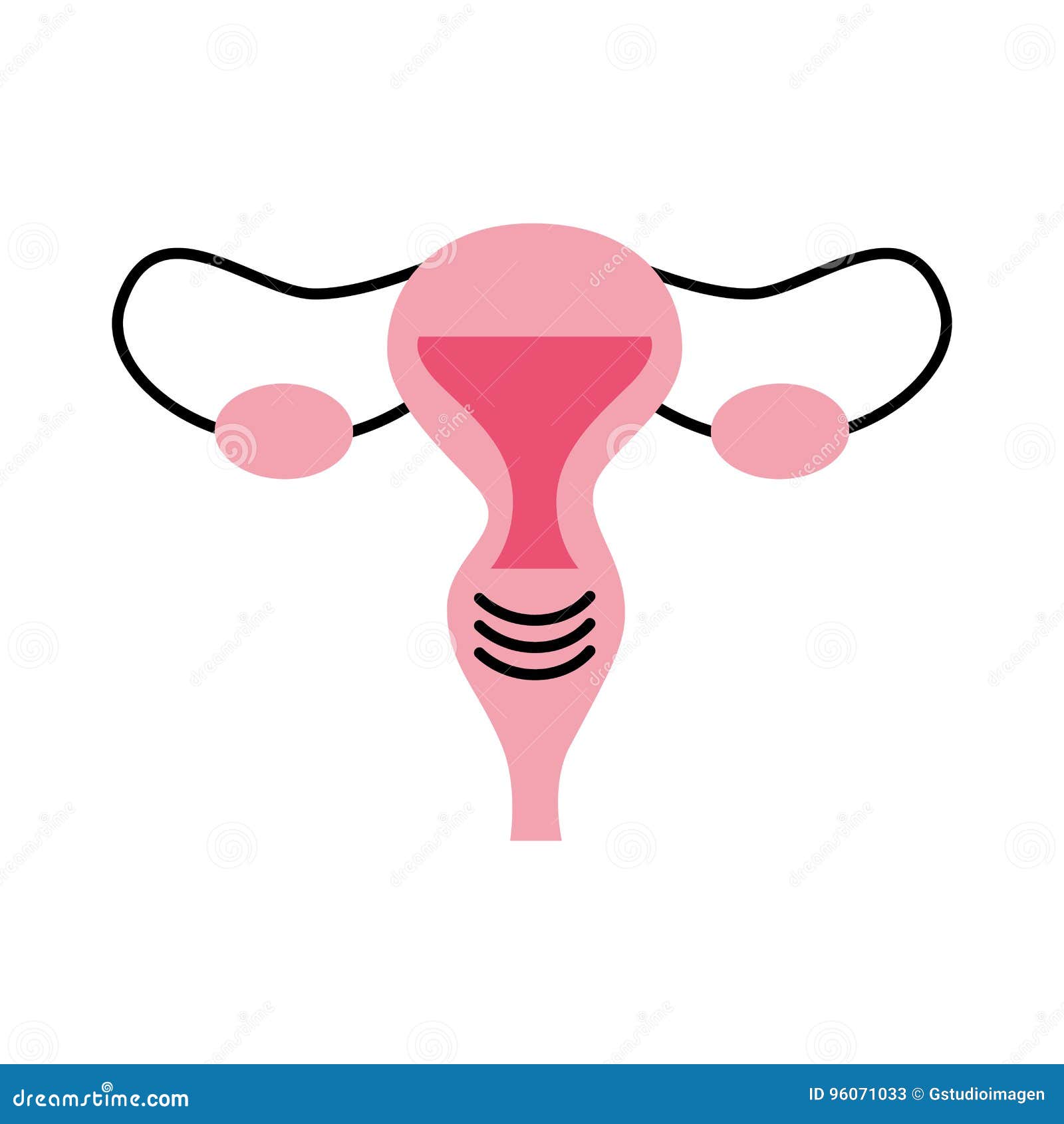 Female Reproductive Organ Icon Stock Vector - Illustration of fertility ...