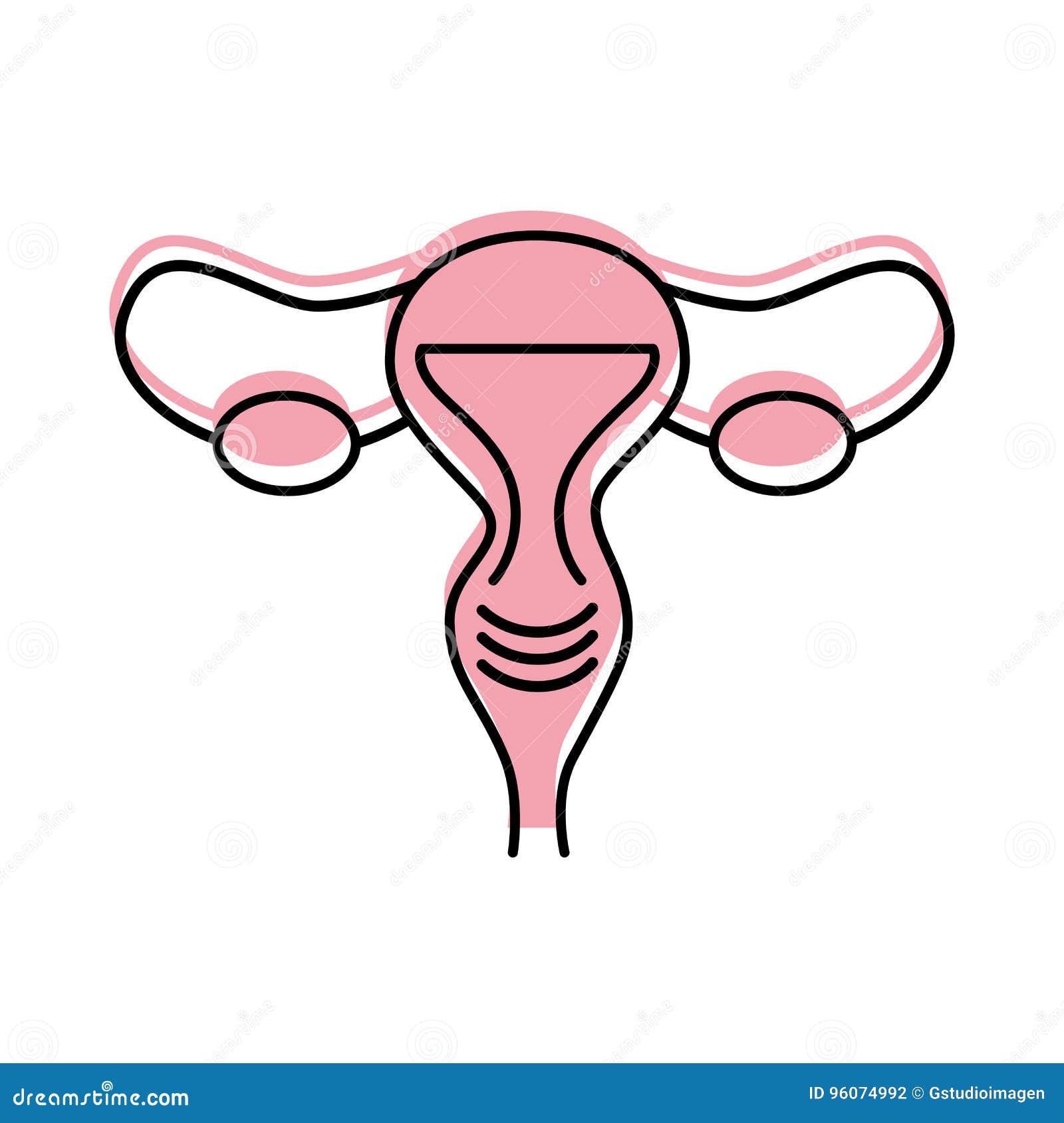 Female Reproductive Organ Icon Stock Vector - Illustration of design ...