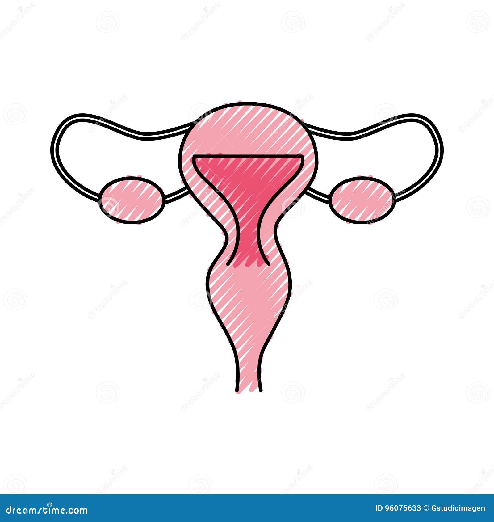 Female Reproductive Organ Icon Stock Vector - Illustration of biology ...