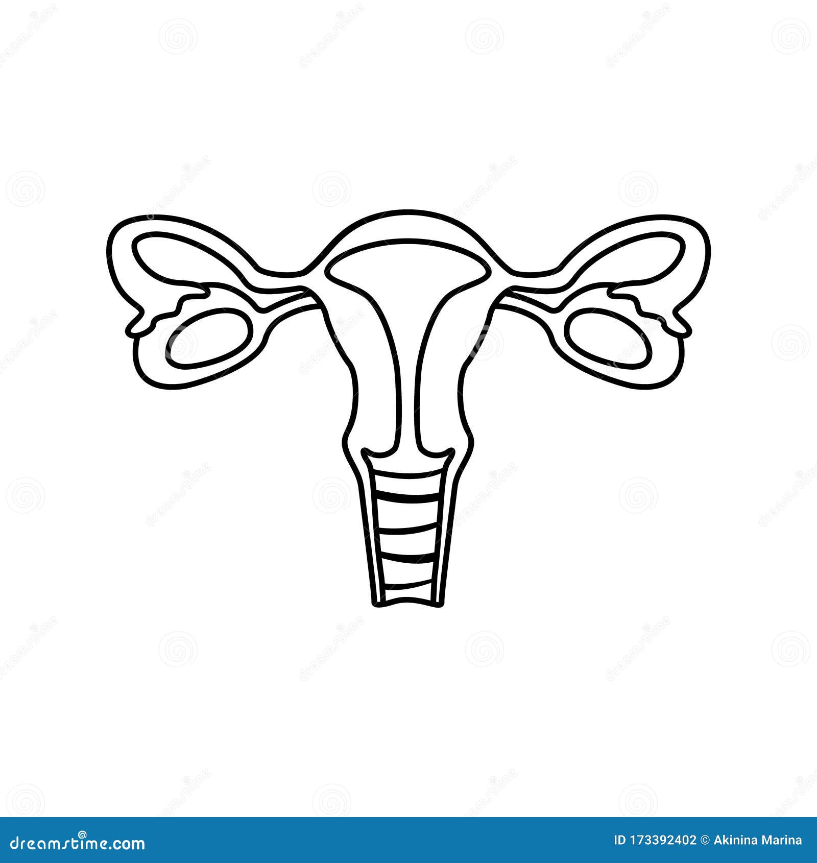 Female Reproductive System Icon Linear Template For Anatomy Poster