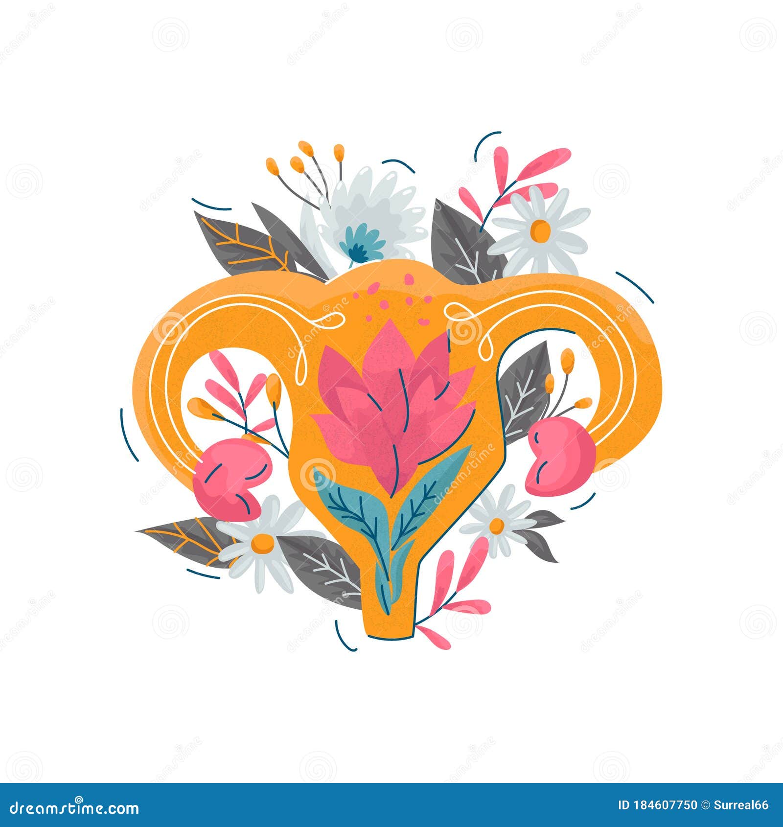 Female Reproductive System Stylized with Botanical Elements Stock ...