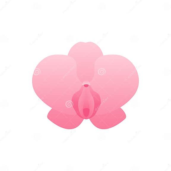 Female Reproductive System Symbol Vector Flat Illustration Vulva In
