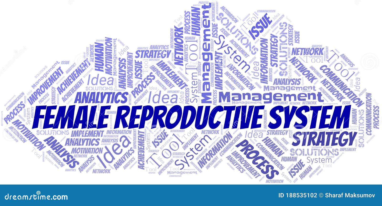 Female Reproductive System Typography Vector Word Cloud. Stock Vector ...