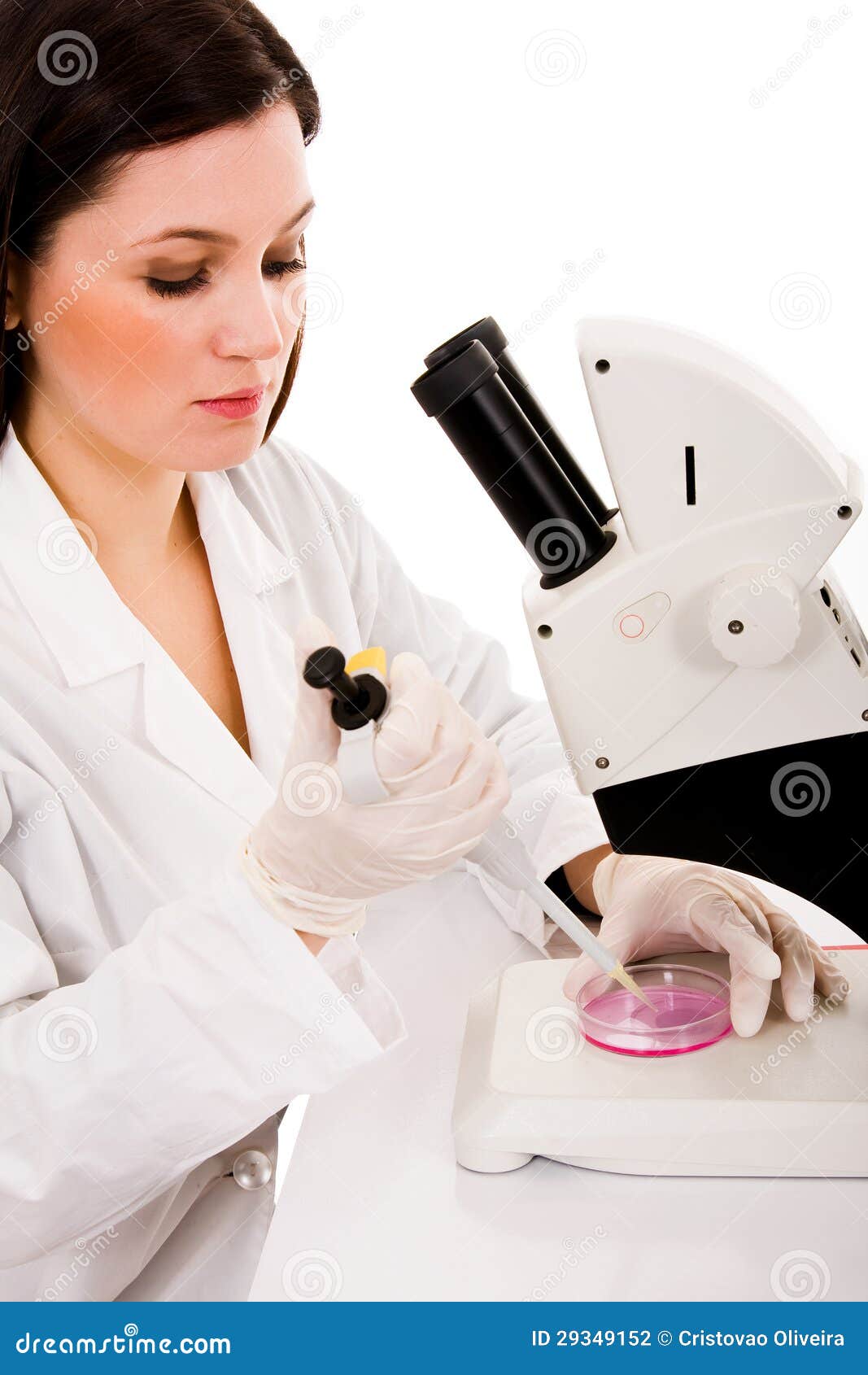 Female research stock photo. Image of latin, operation - 29349152