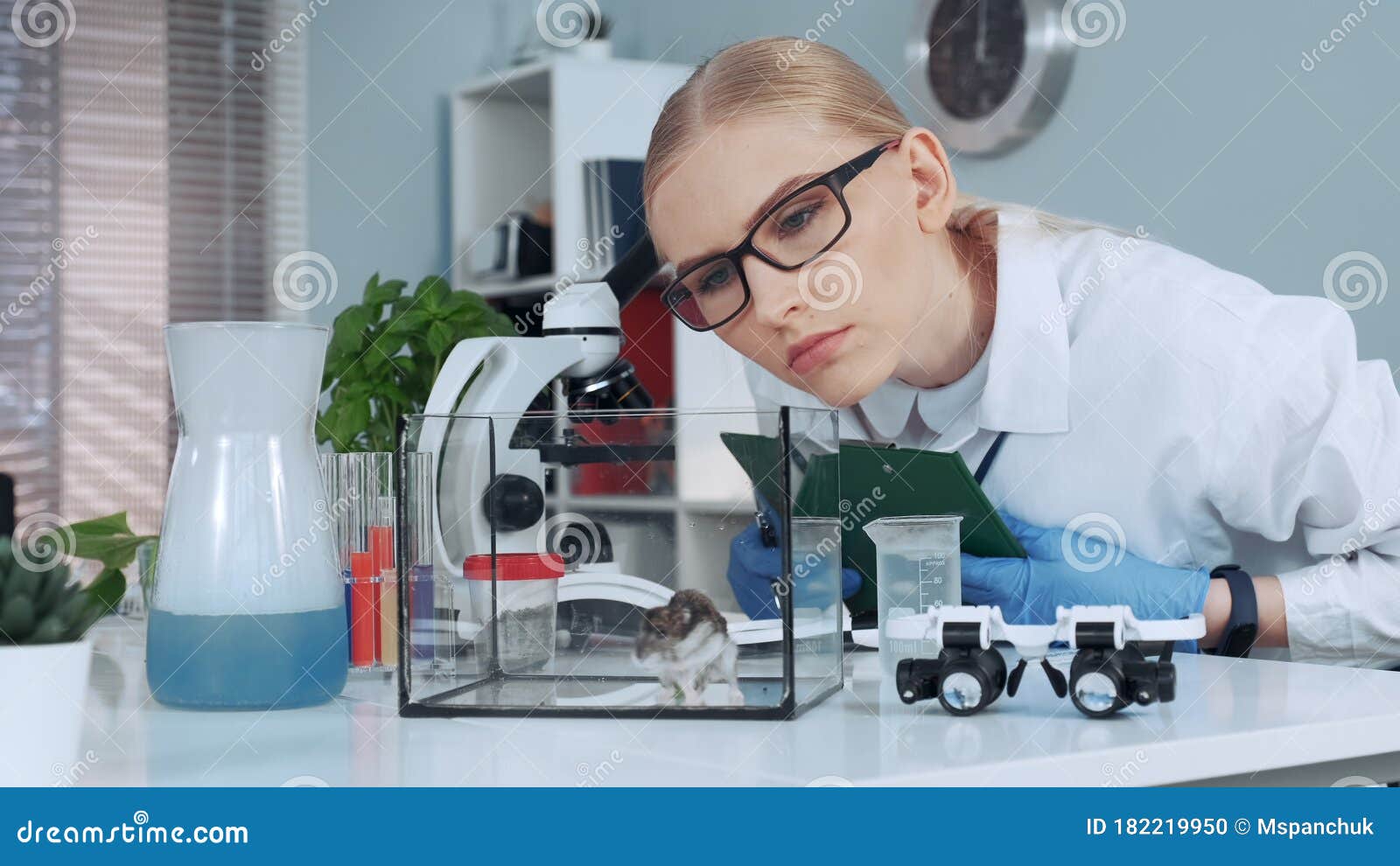 Female Research Scientist Learning Animal Behavior during the ...