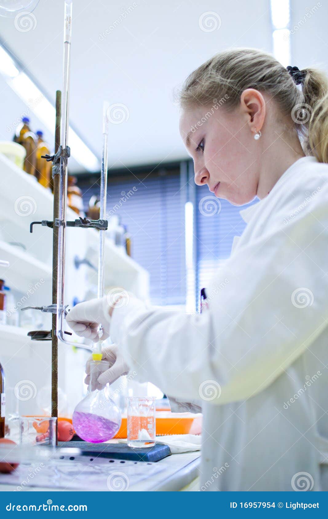 Female researcher stock photo. Image of research, science - 16957954