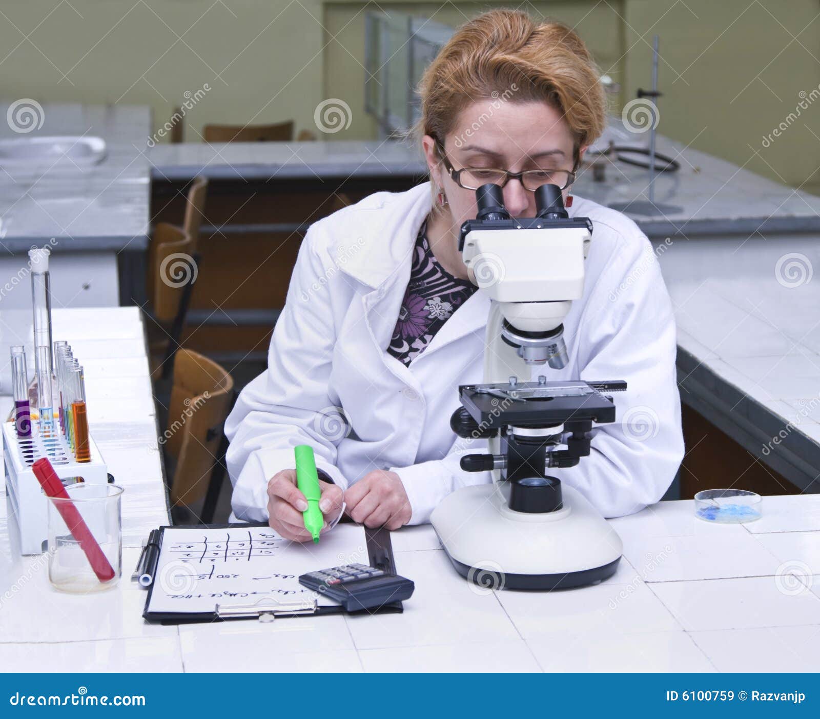 Female researcher stock image. Image of classroom, professor - 6100759