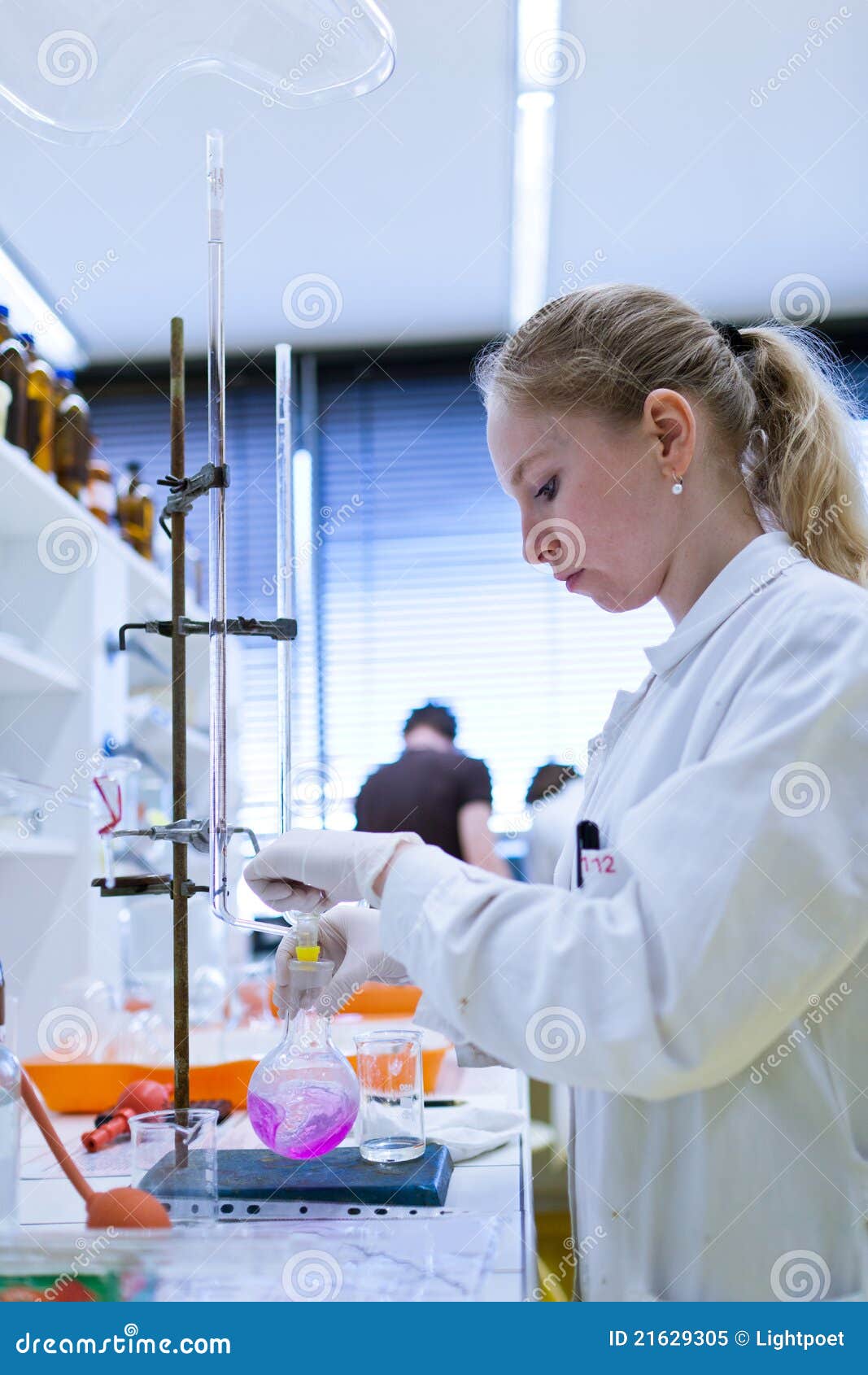Female Researcher in a Chemistry Lab Stock Image - Image of natural ...