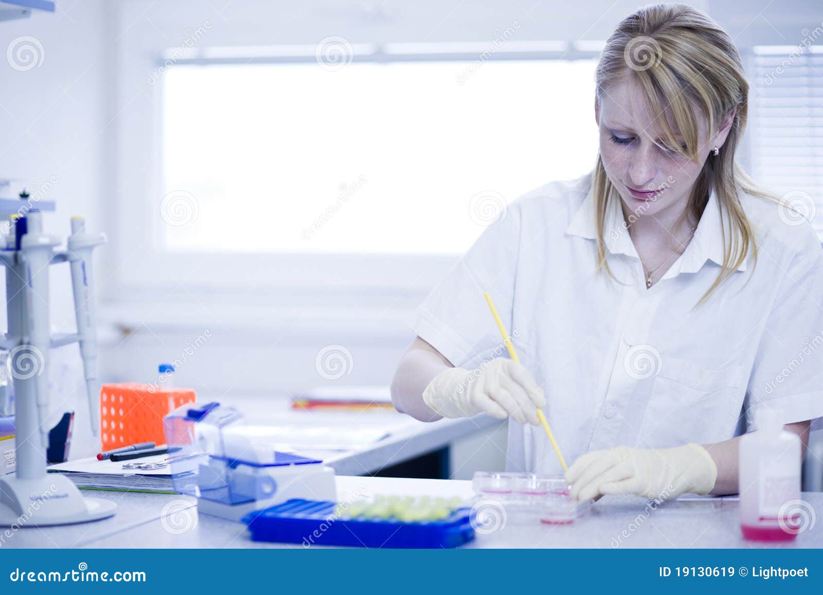 Female Researcher Doing Research in a Lab Stock Image - Image of ...