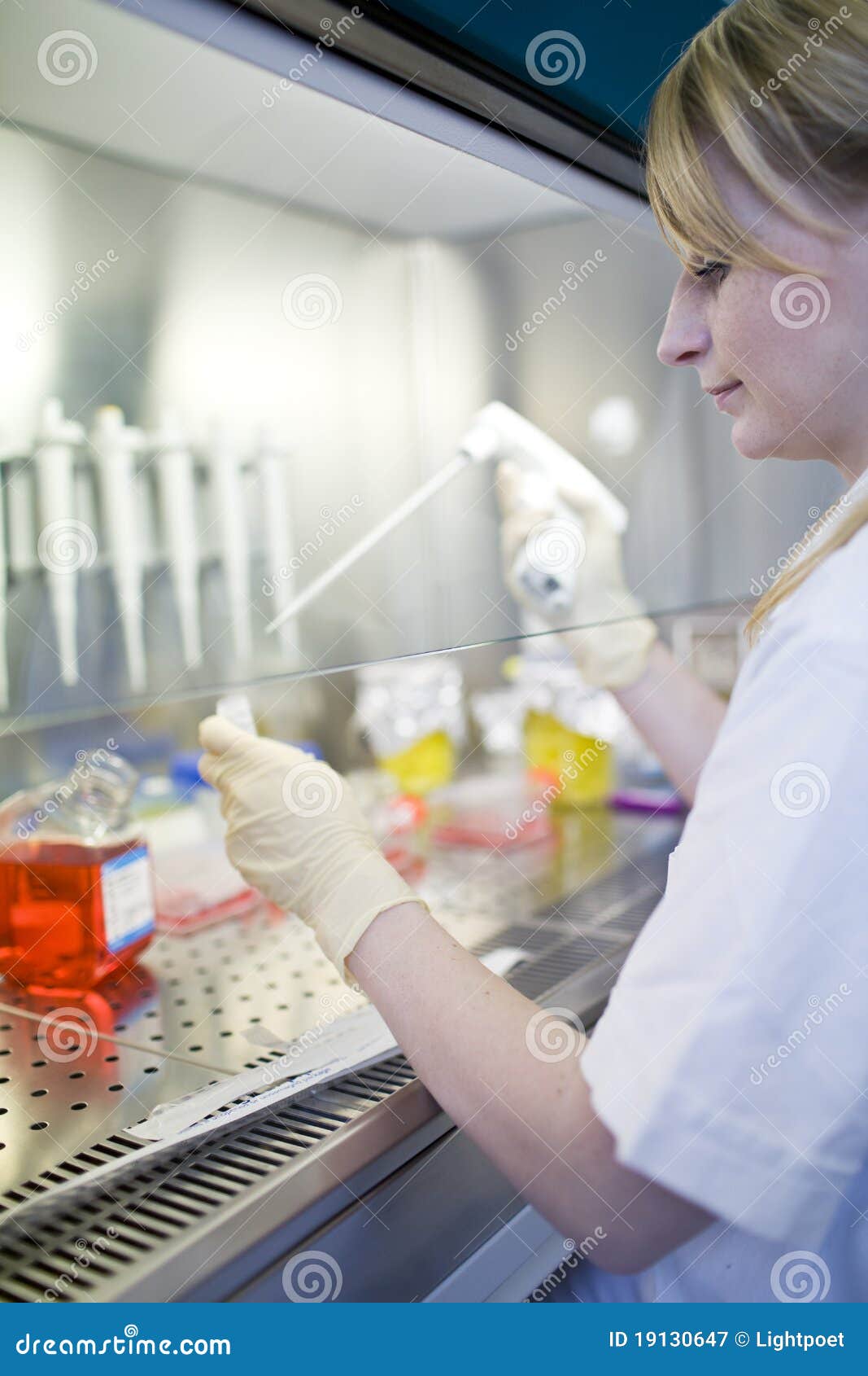 Female Researcher Doing Research in a Lab Stock Image - Image of modern ...