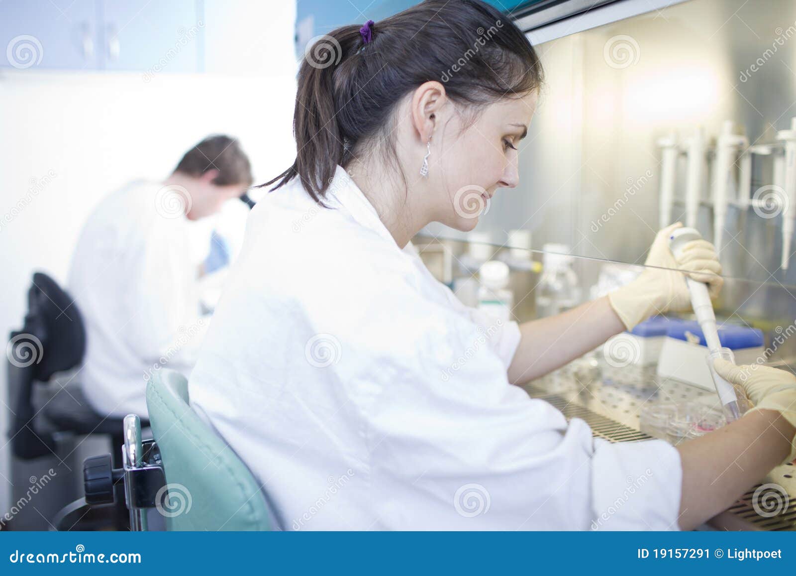 Female Researcher Doing Research in a Lab Stock Image - Image of ...