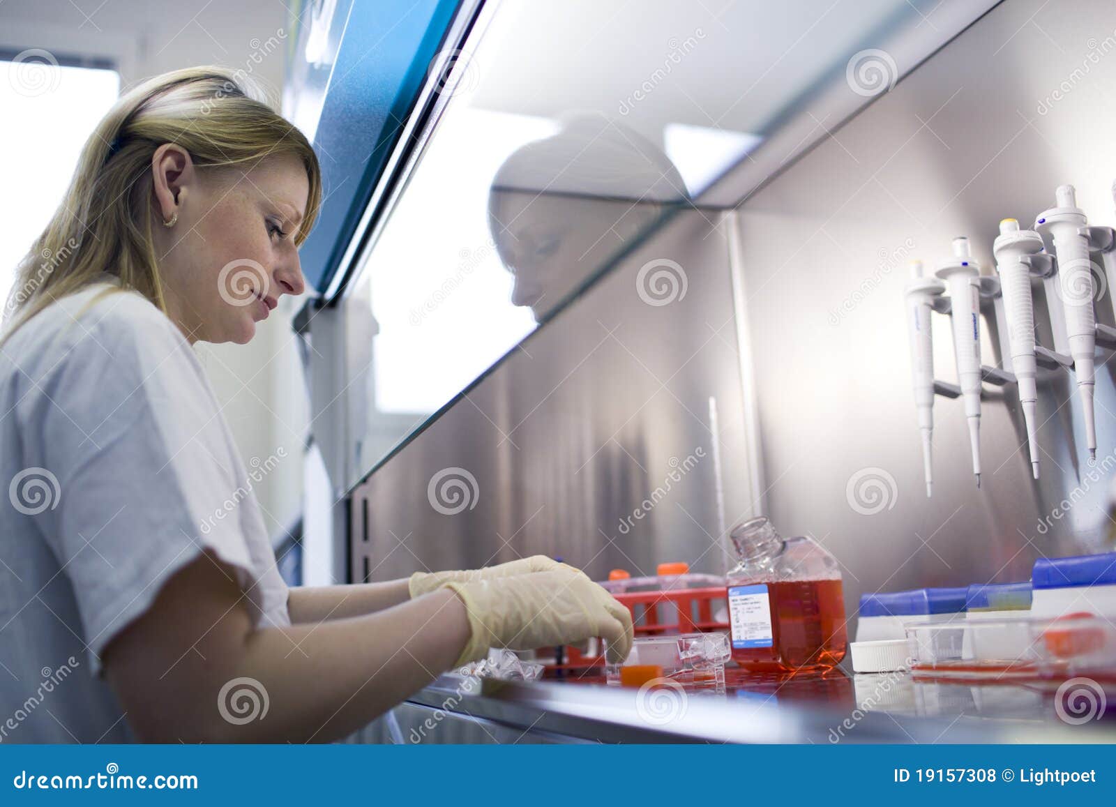 Female Researcher Doing Research in a Lab Stock Photo - Image of ...