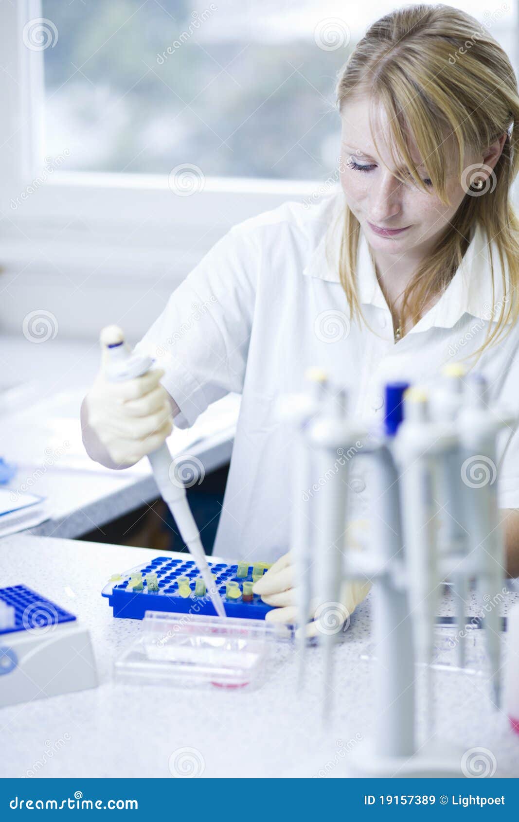 Female Researcher Doing Research in a Lab Stock Image - Image of ...