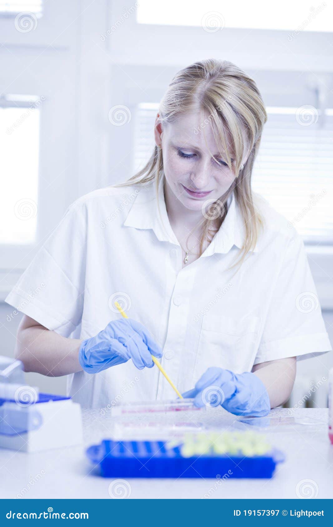Female Researcher Doing Research in a Lab Stock Image - Image of ...