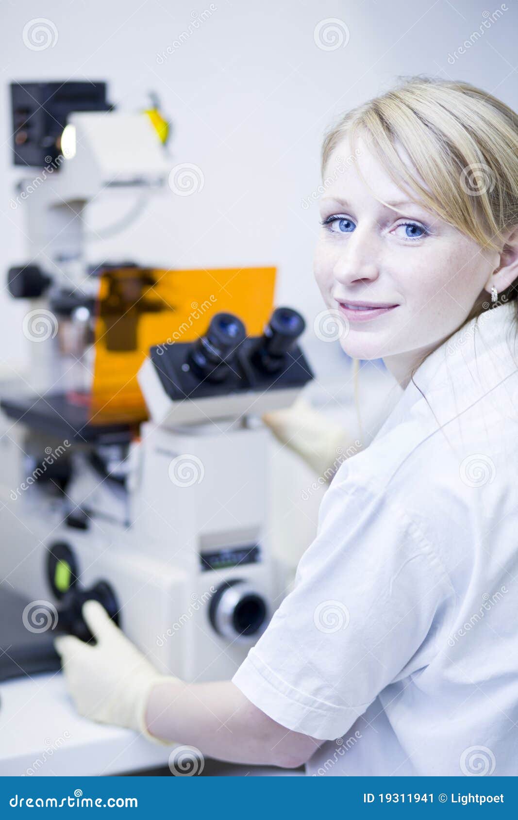 Female Researcher Doing Research in a Lab Stock Image - Image of health ...