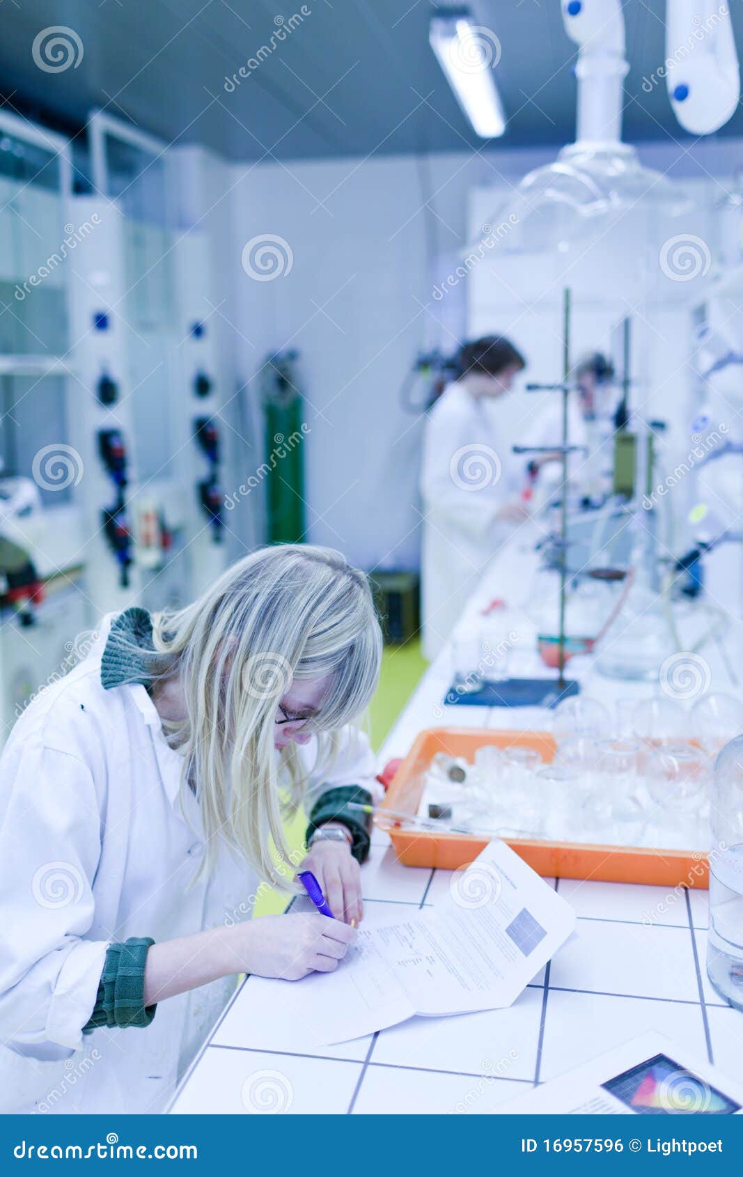 Female researcher in a lab stock photo. Image of person - 16957596