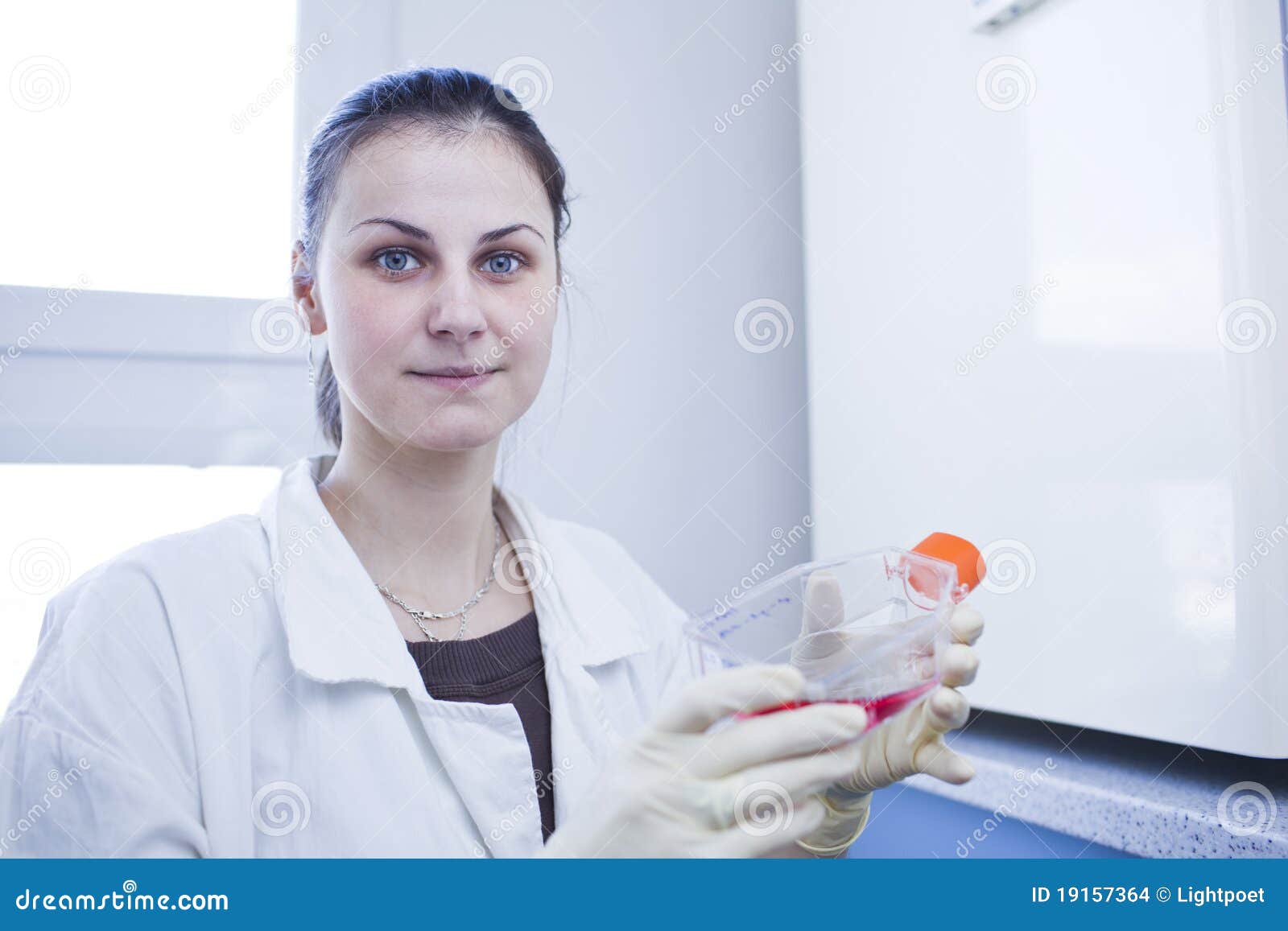 Female researcher in a lab stock photo. Image of medicine - 19157364