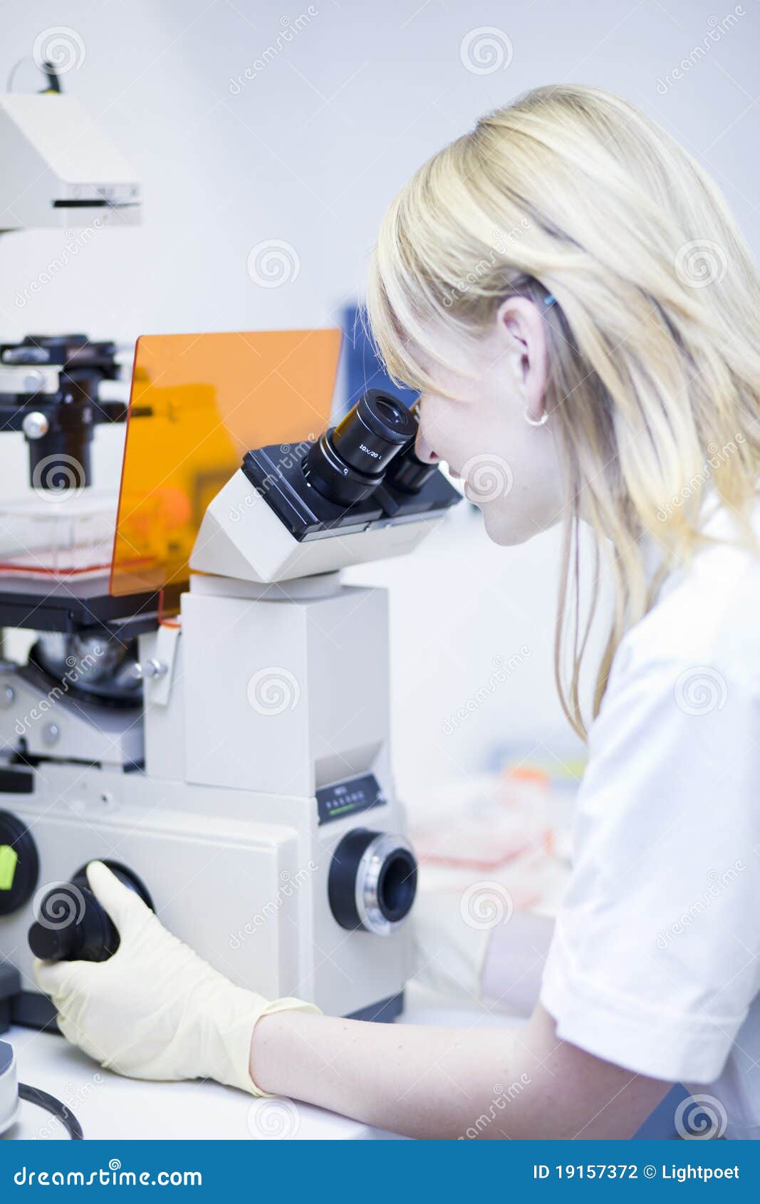 Female researcher in a lab stock photo. Image of attractive - 19157372
