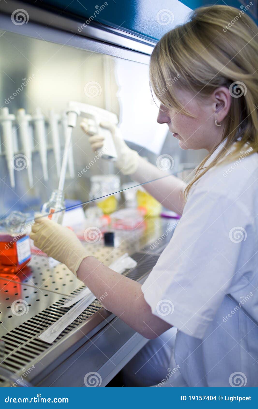 Female researcher in a lab stock photo. Image of person - 19157404