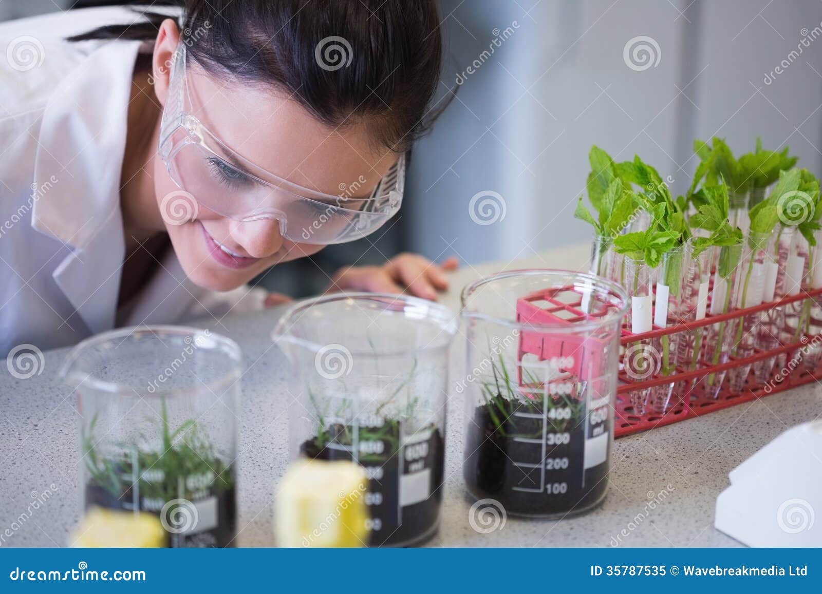 Female Scientist Analyzing Young Plants Lab Stock Photos - Free ...