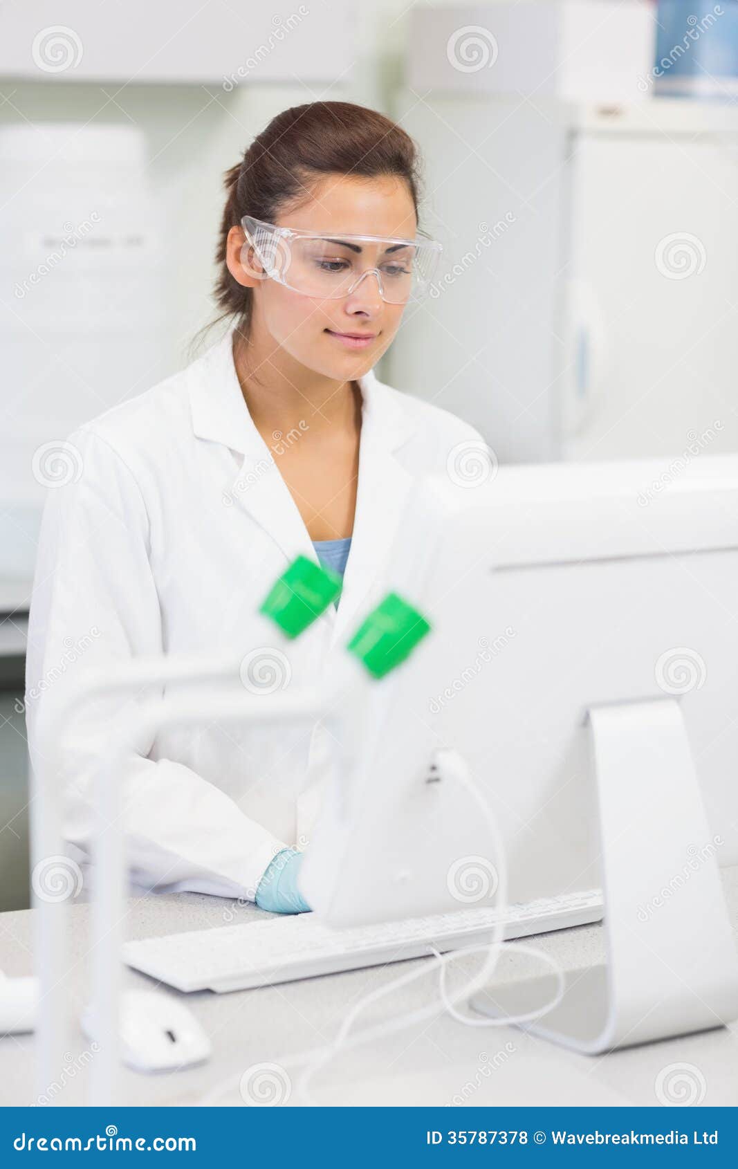 Female Researcher Using a Computer in the Lab Stock Photo - Image of ...