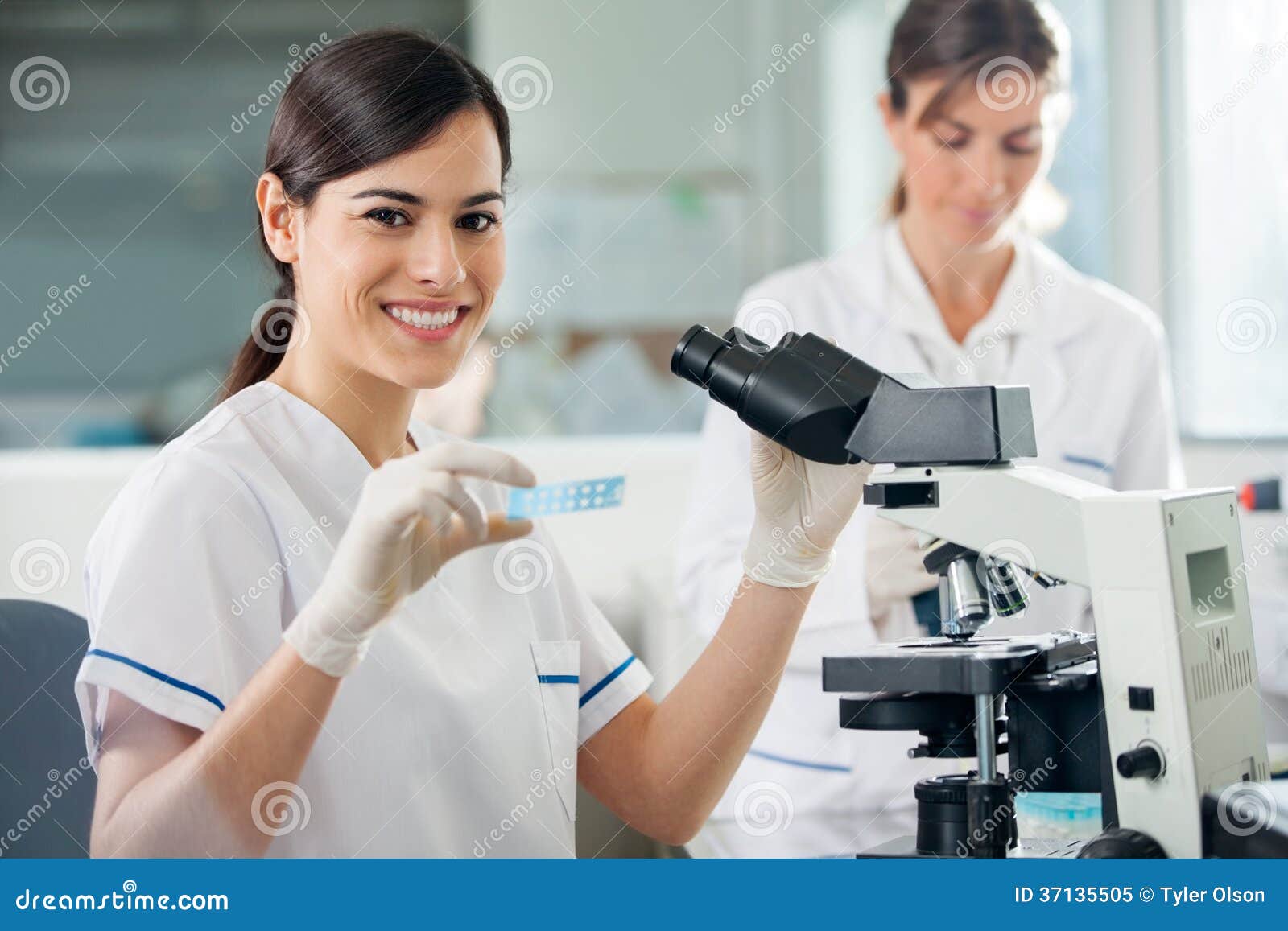 Female Researcher Using Microscope in Lab Stock Image - Image of ...
