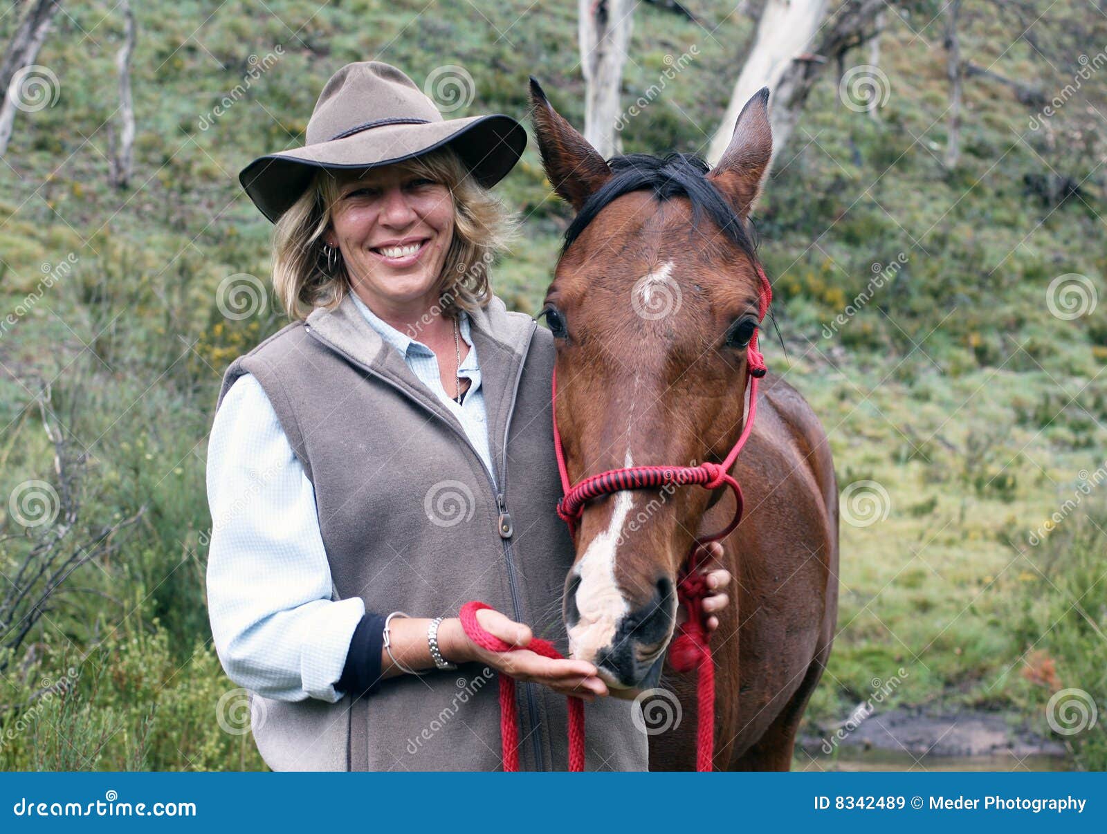 Female rider stock image. Image of horseback, journey - 8342489