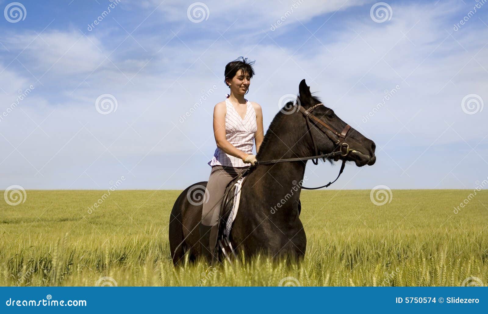A Female Riding on a Black Horse Stock Photo - Image of recreational ...
