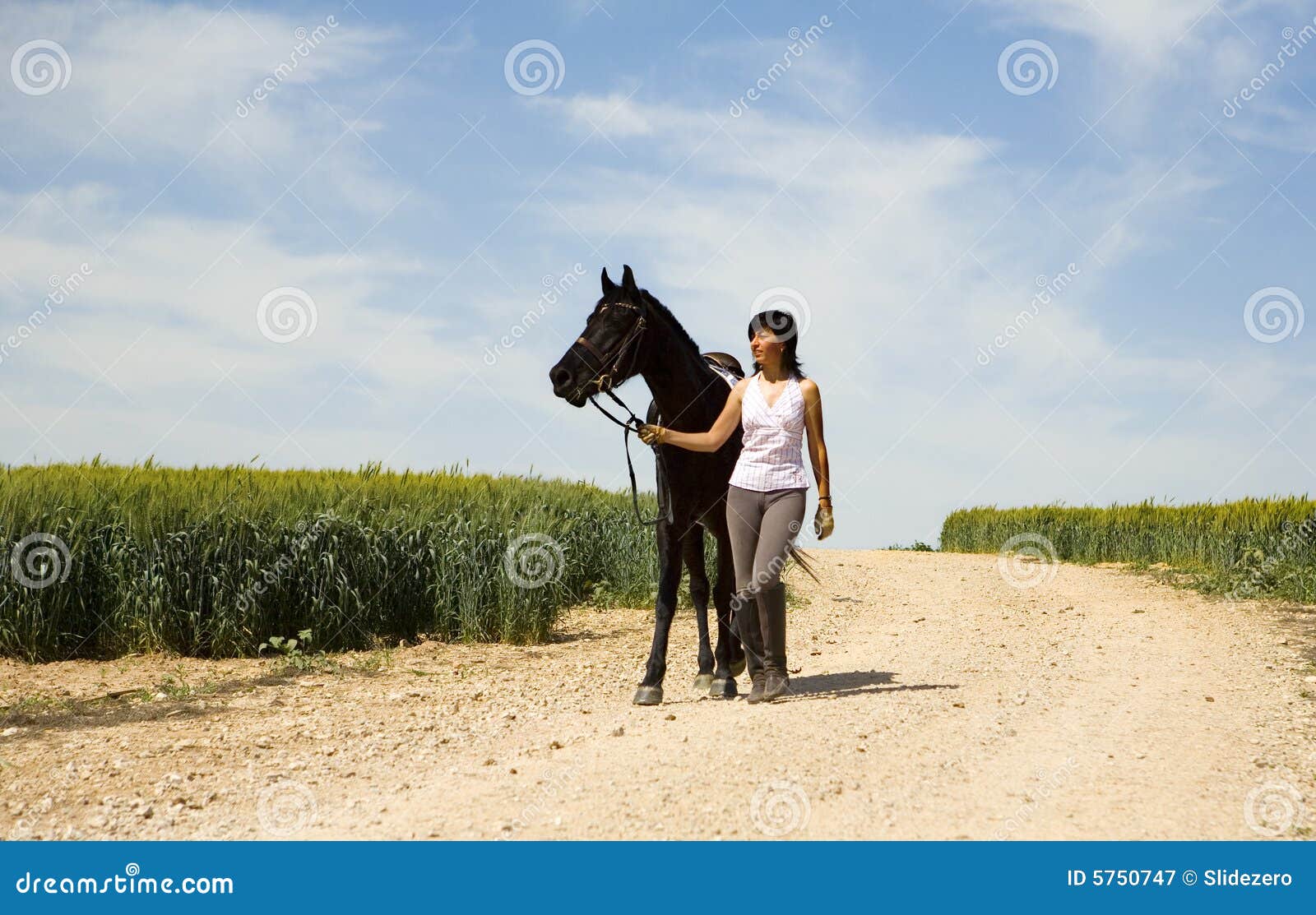 A Female Riding on a Black Horse Stock Image - Image of nature ...
