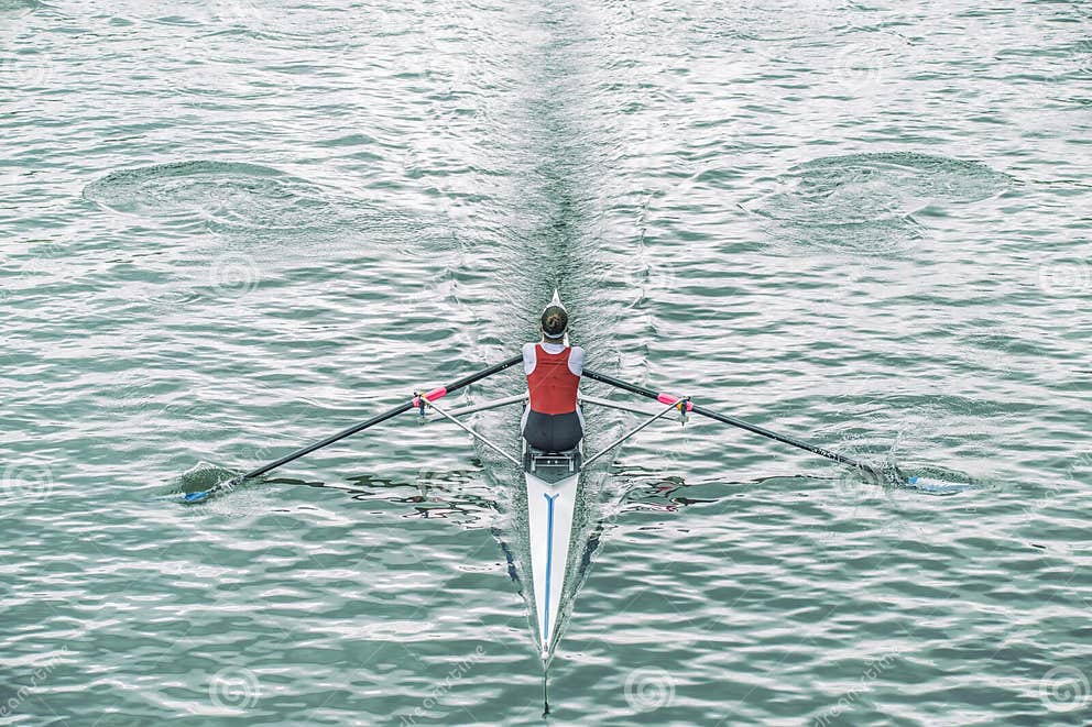 Female rower top view stock photo. Image of oars, competition - 312517946
