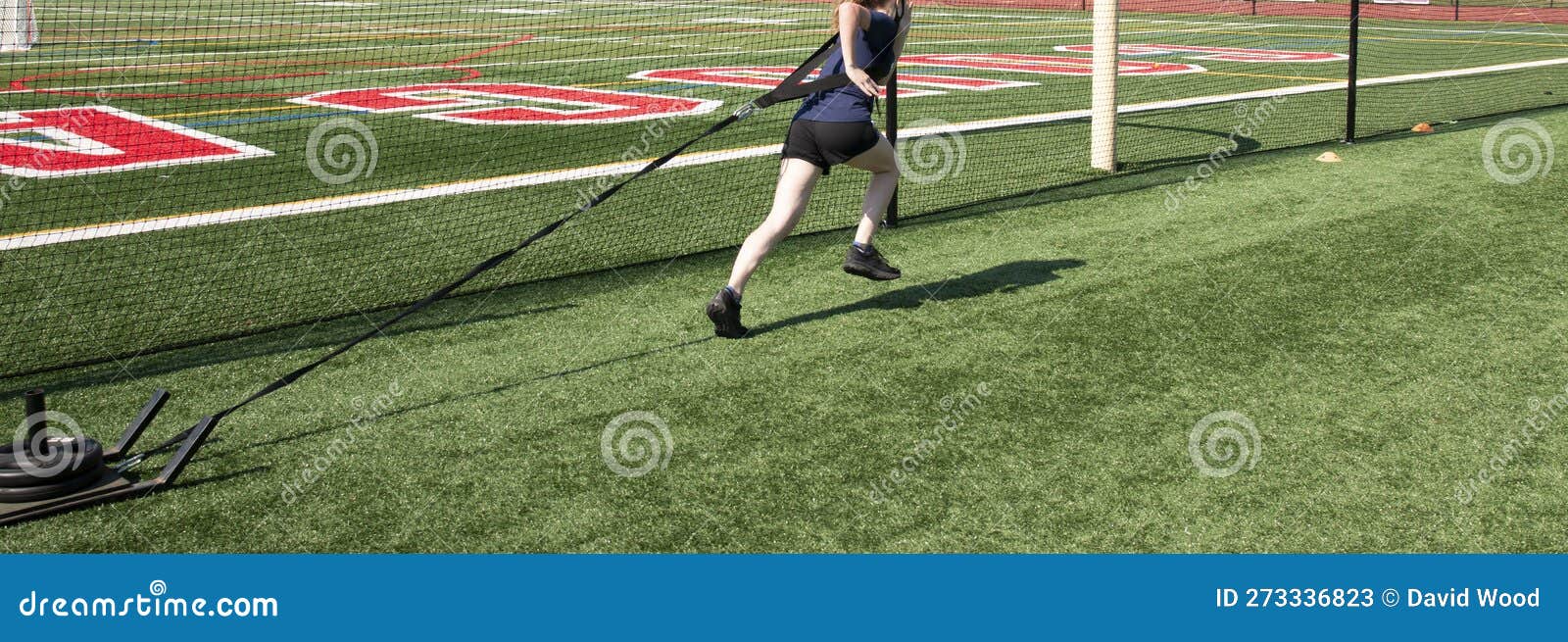 Female Runner Pulling a Sled with Weights Stock Image - Image of sled ...