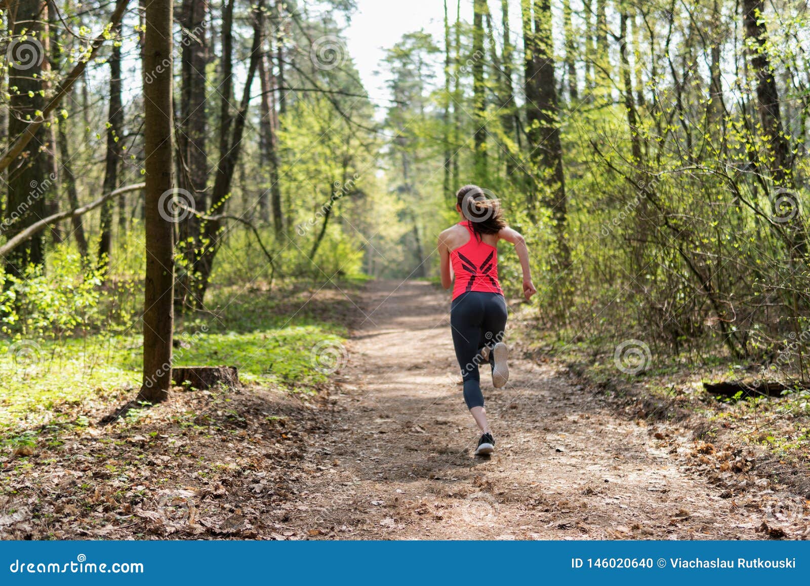 Female Runner Run in Spring Sunny Forest Stock Photo - Image of jogging ...