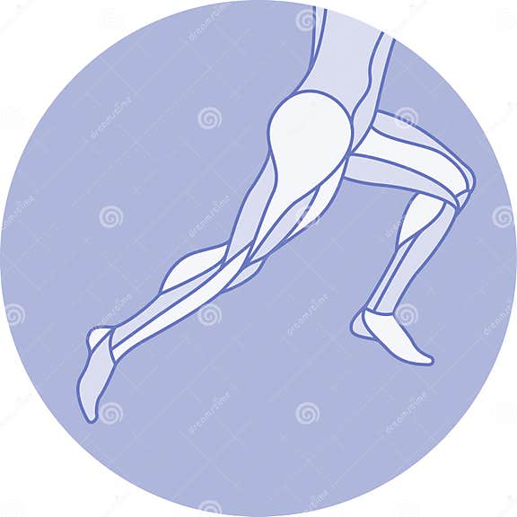 Running Female Anatomy Figure Pose with Muscles Stock Vector ...