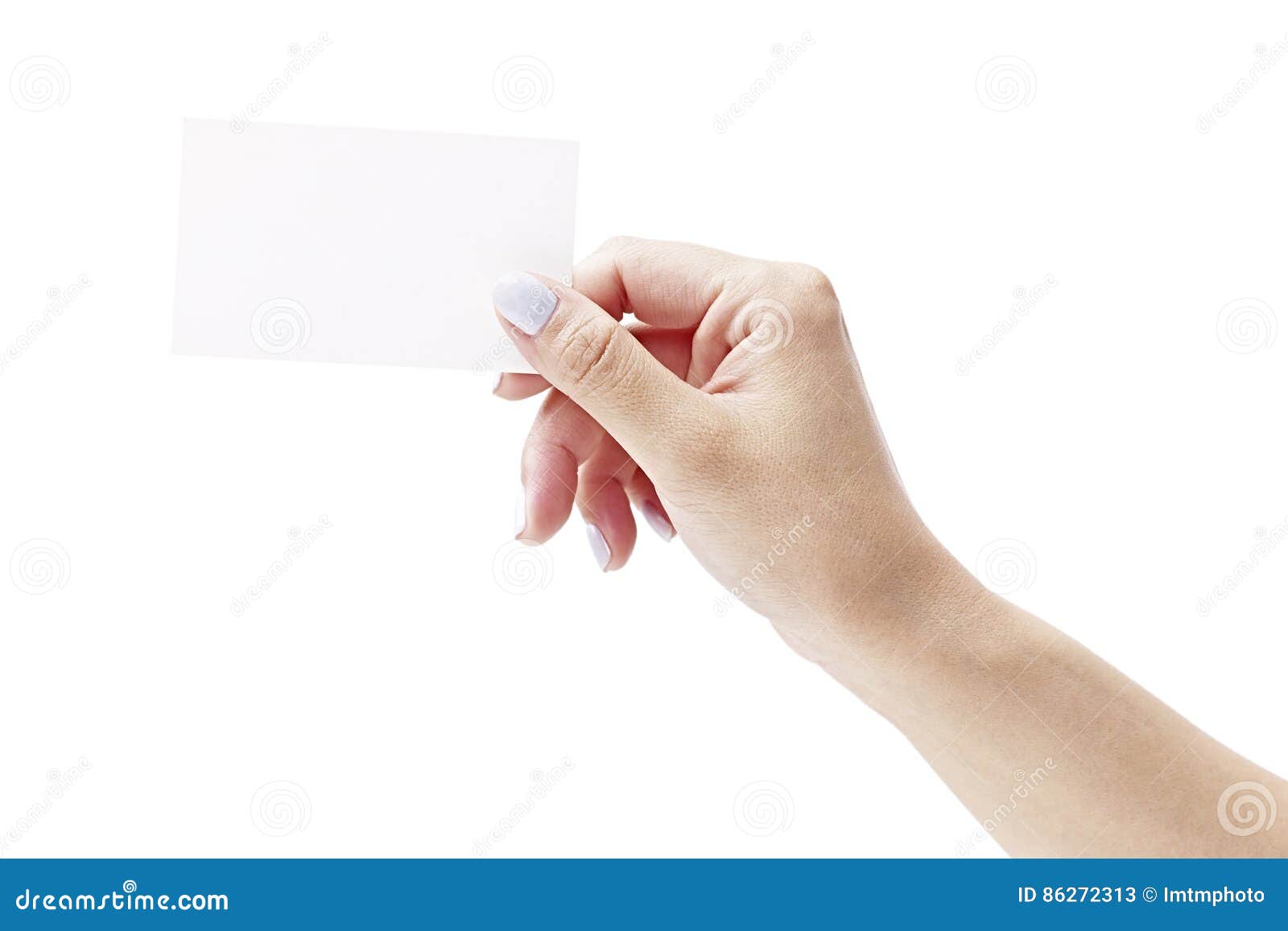 Female`s Hand Holding a Card Stock Image - Image of blank, isolated ...