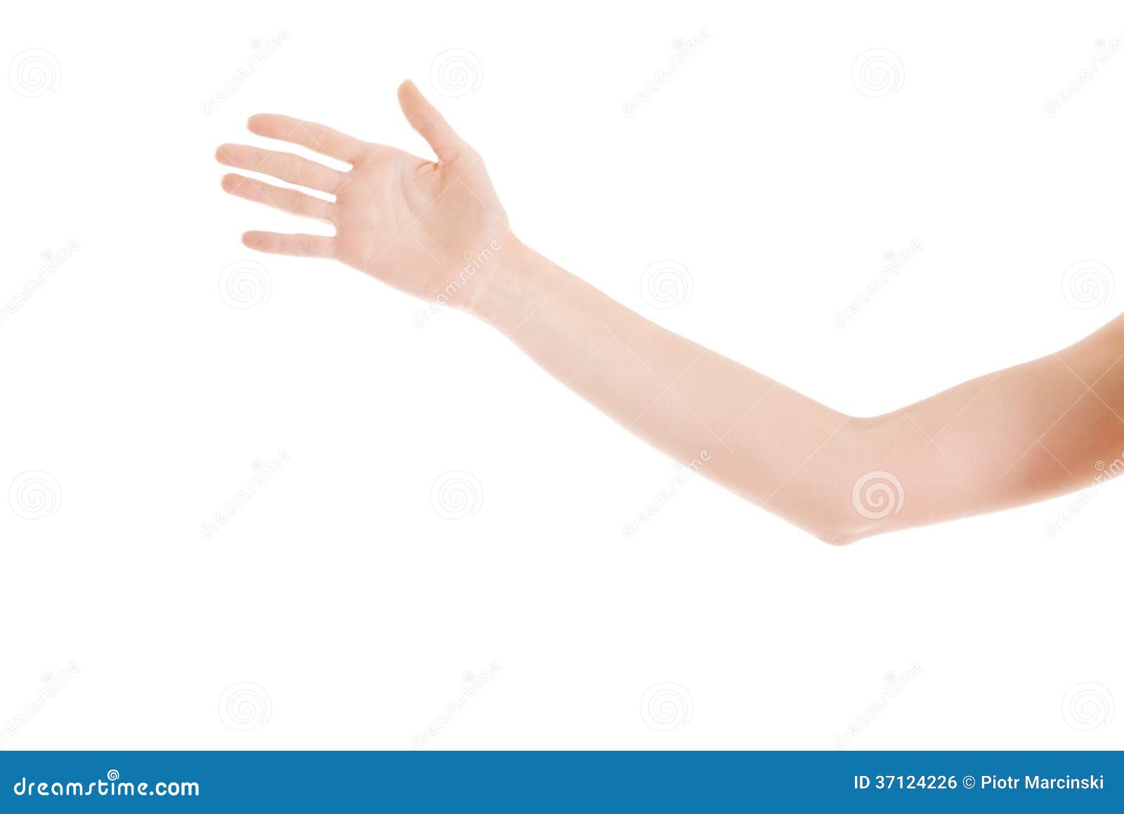 Female S Hand Stretched Out. Stock Photo - Image of lifestyle, adult ...