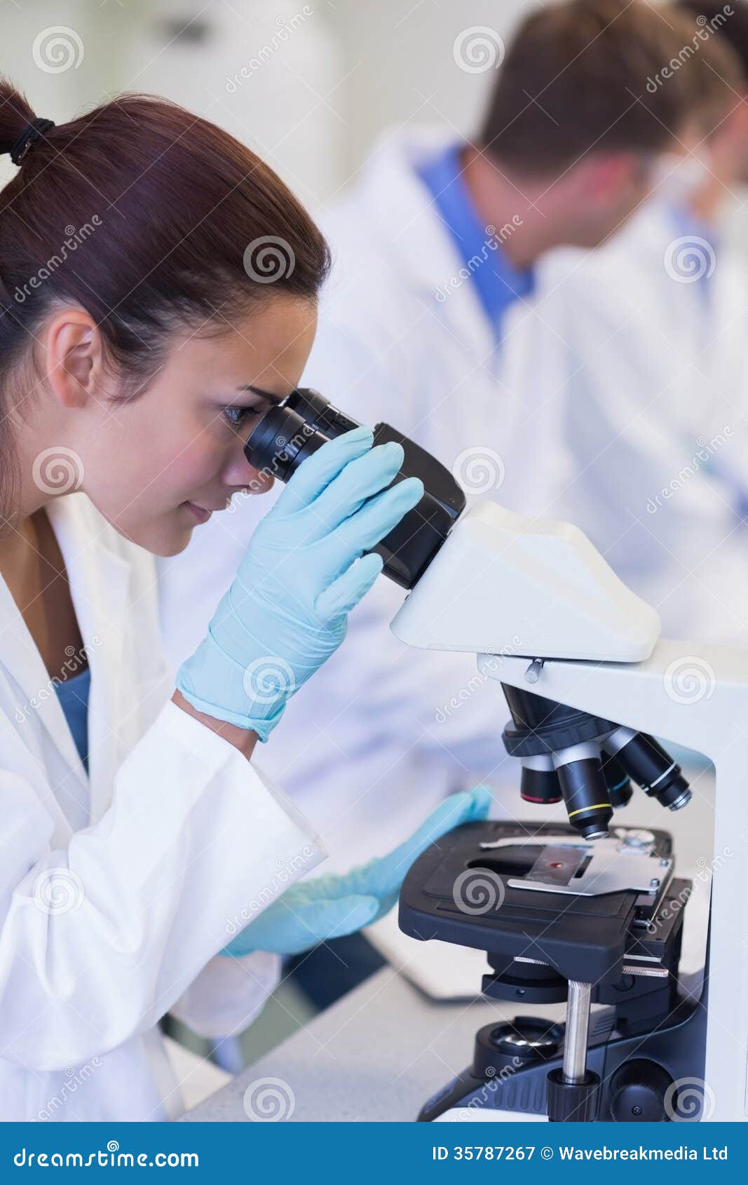 Female Scientific Researcher Using Microscope in Lab Stock Image ...