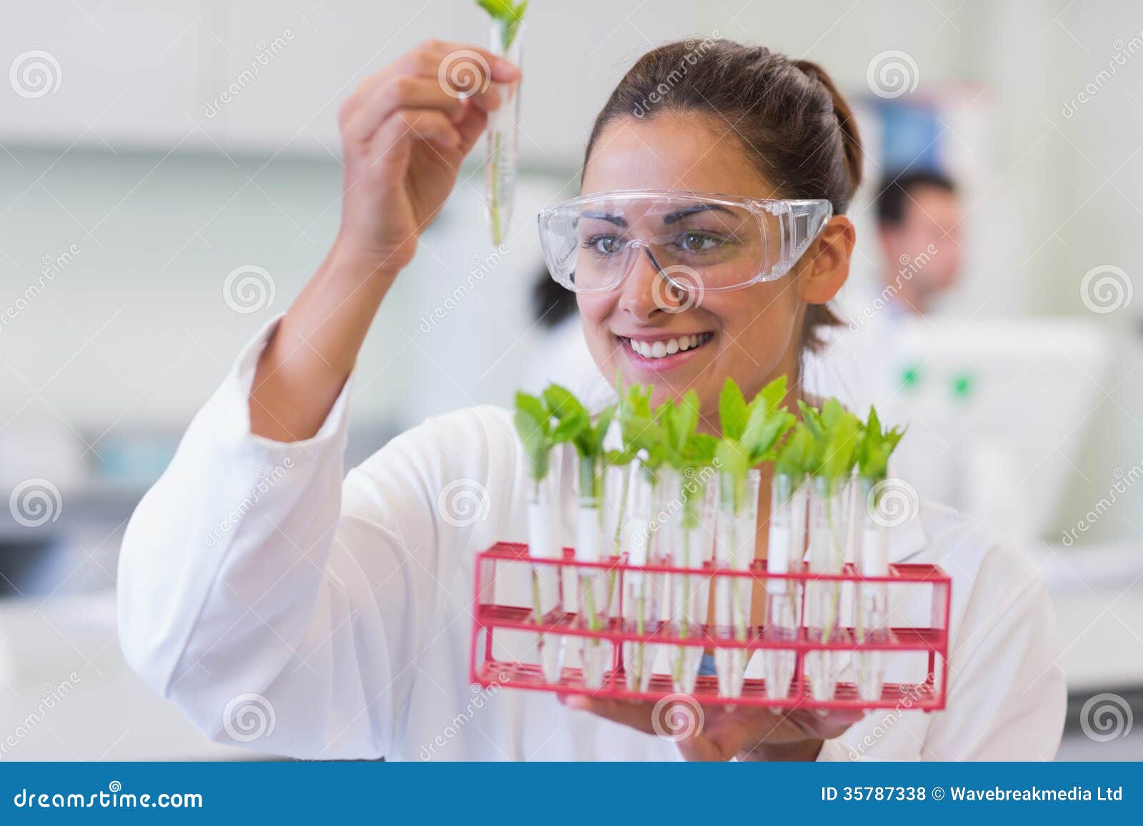 Female Scientist Analyzing Young Plants at Lab Stock Photo - Image of ...