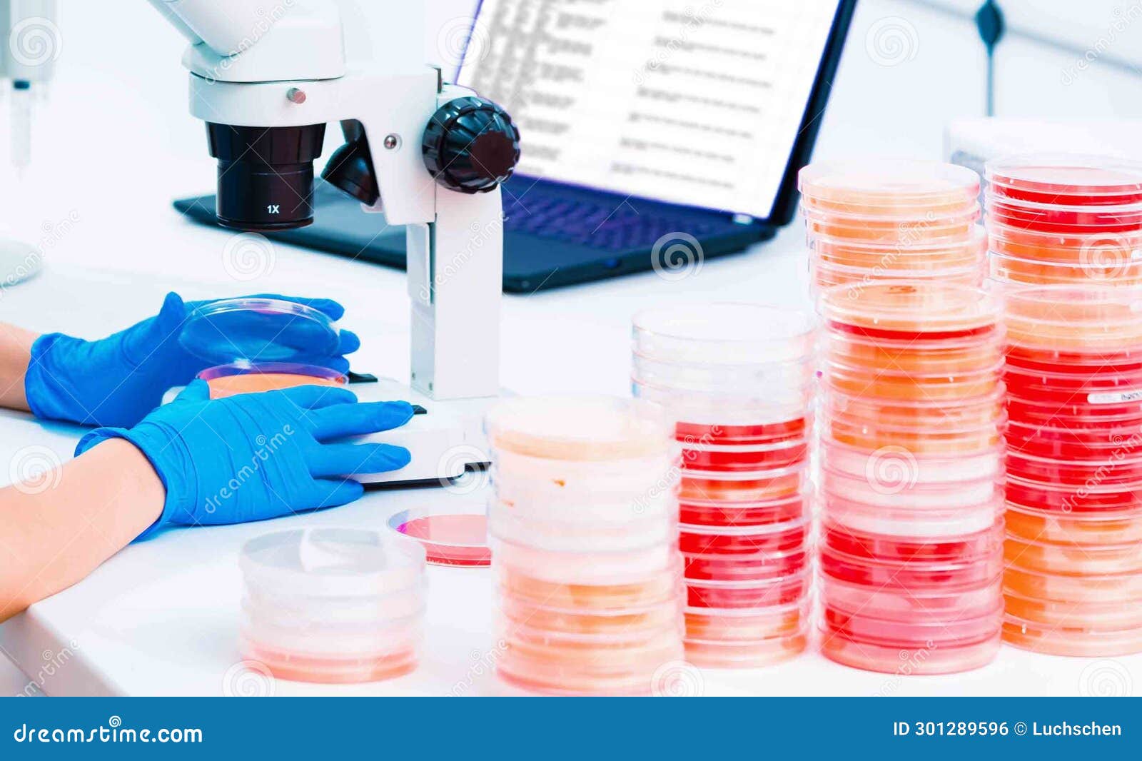Female Scientist Conducting Medical Experiment with Microscope in Lab ...