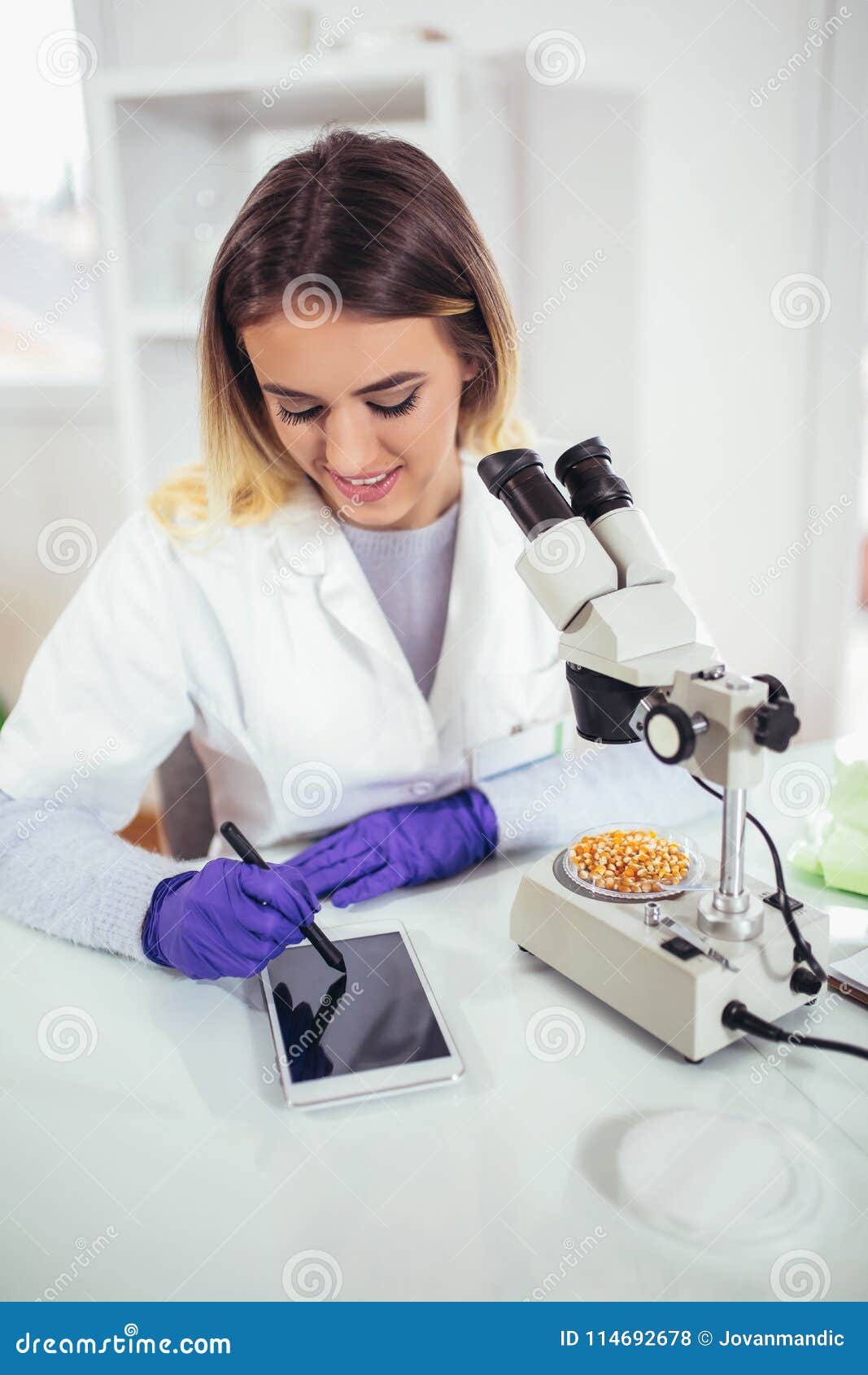 Female Scientist Looking Corn for Genetic Modification Research Stock ...