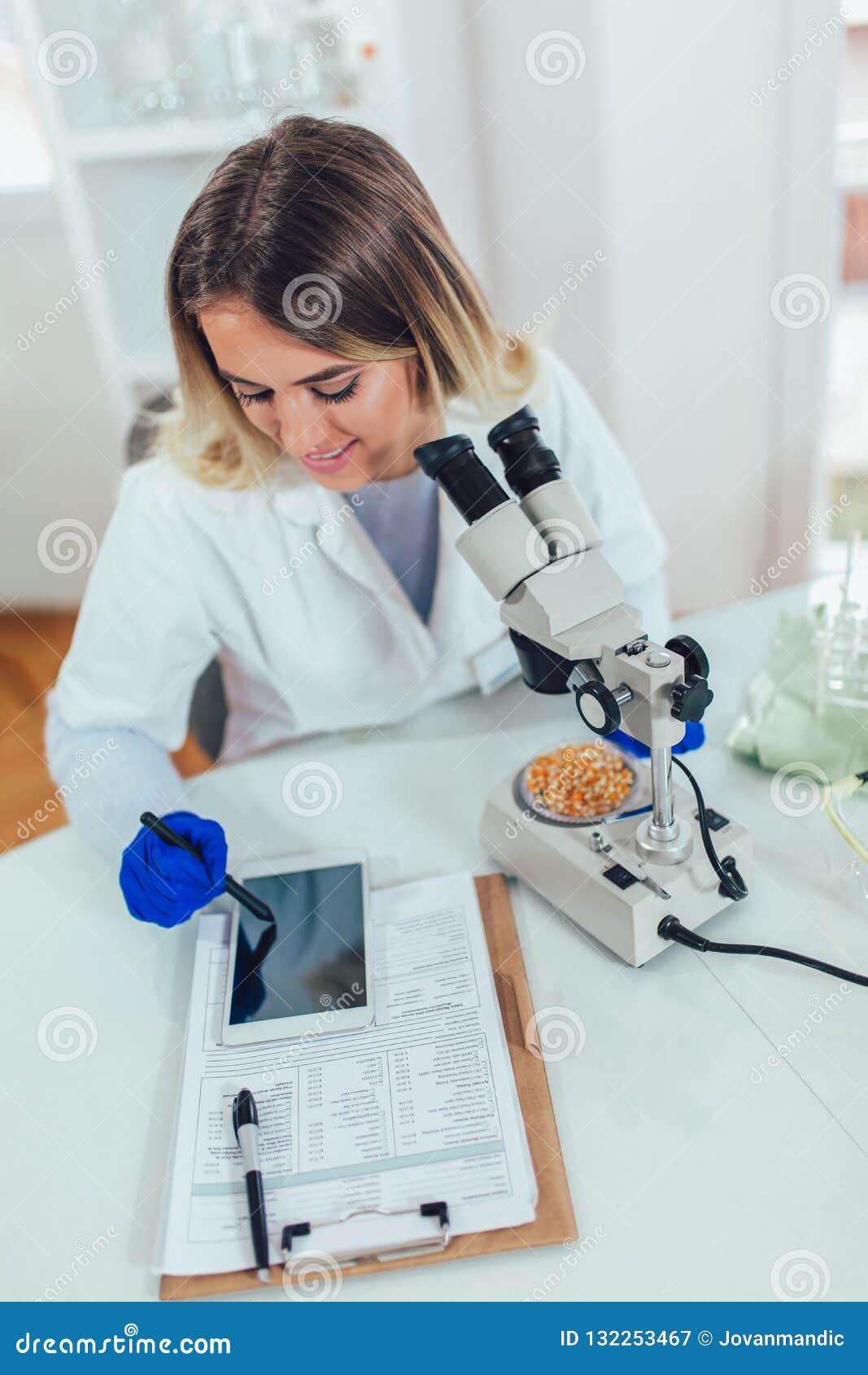 Female Scientist Looking Corn for Genetic Modification Research Stock ...