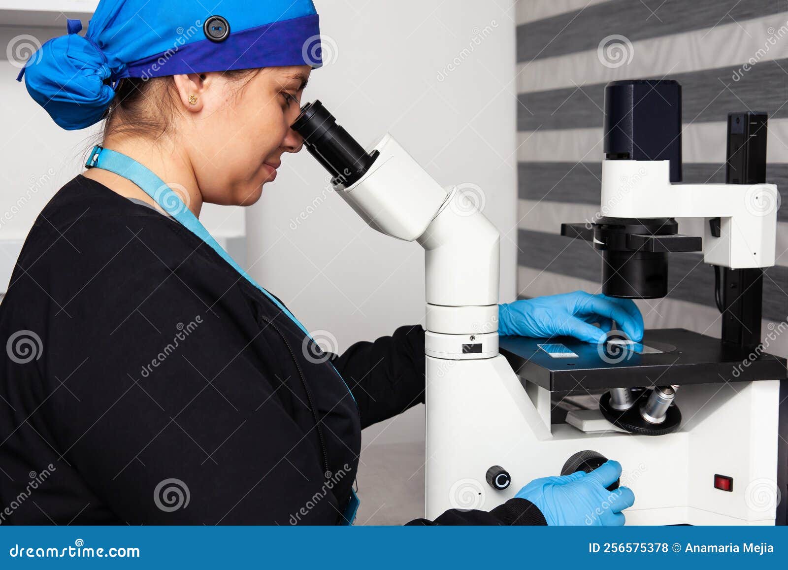 Female Scientist Looking at Slides with Patient Samples Using an ...