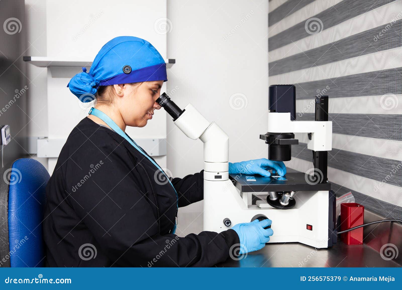 Female Scientist Looking at Slides with Patient Samples Using an ...