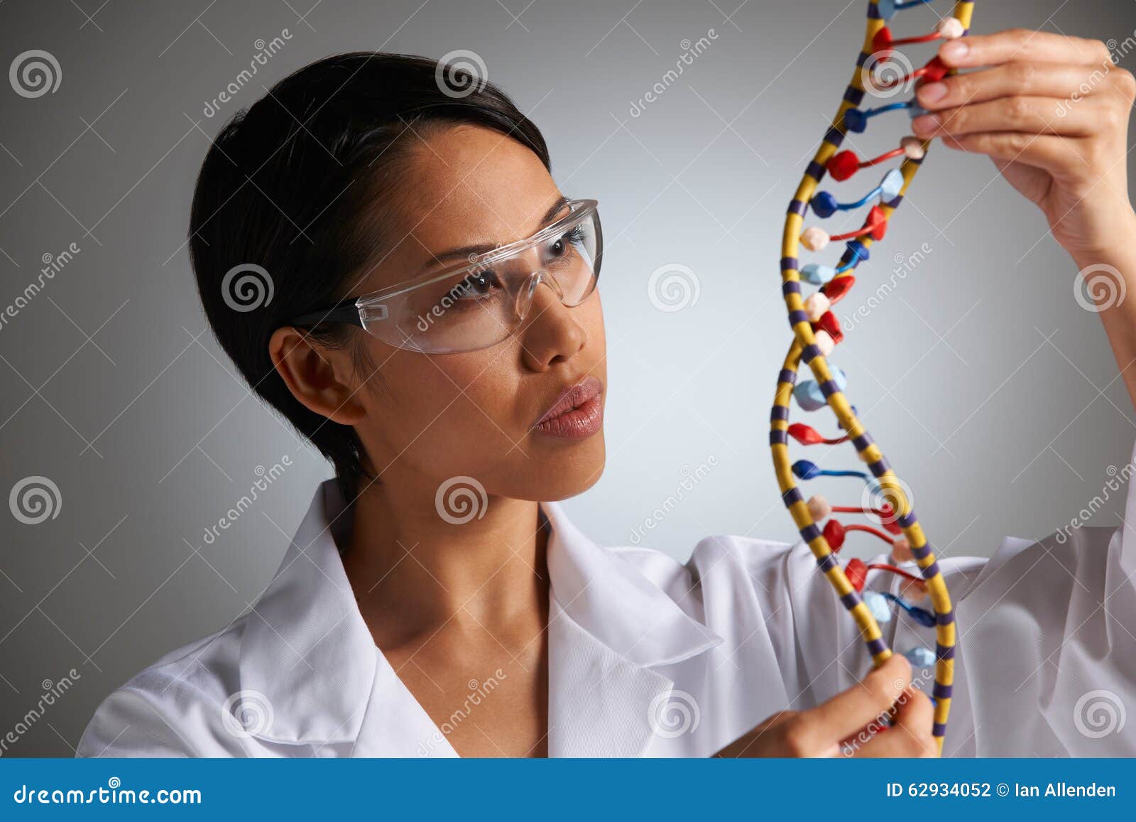 Female Scientist Studying Molecular Model in Shape of Helix Stock Photo ...