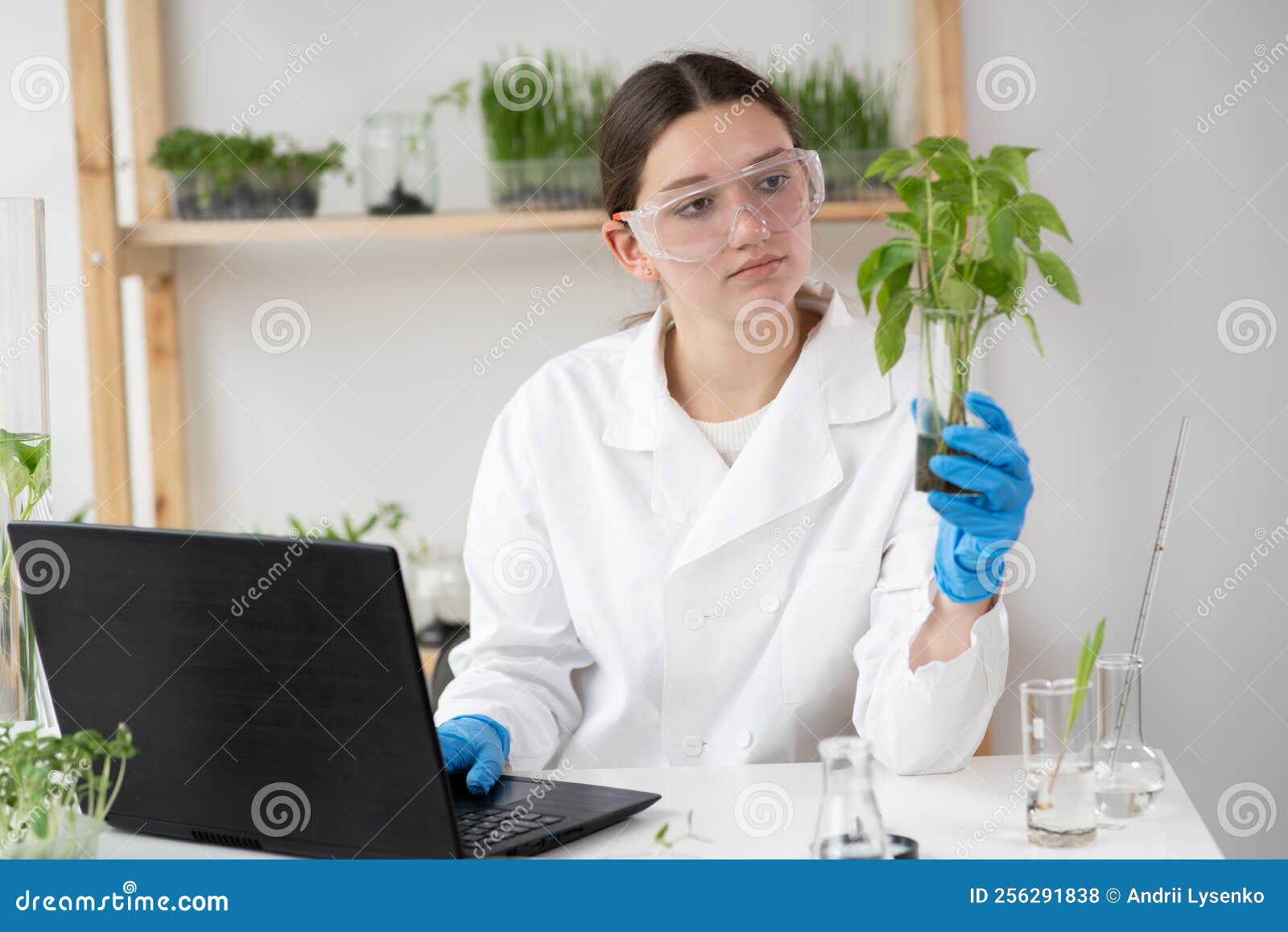 Female Scientist Working on a Laptop Computer, Making Analysis of a Lab ...