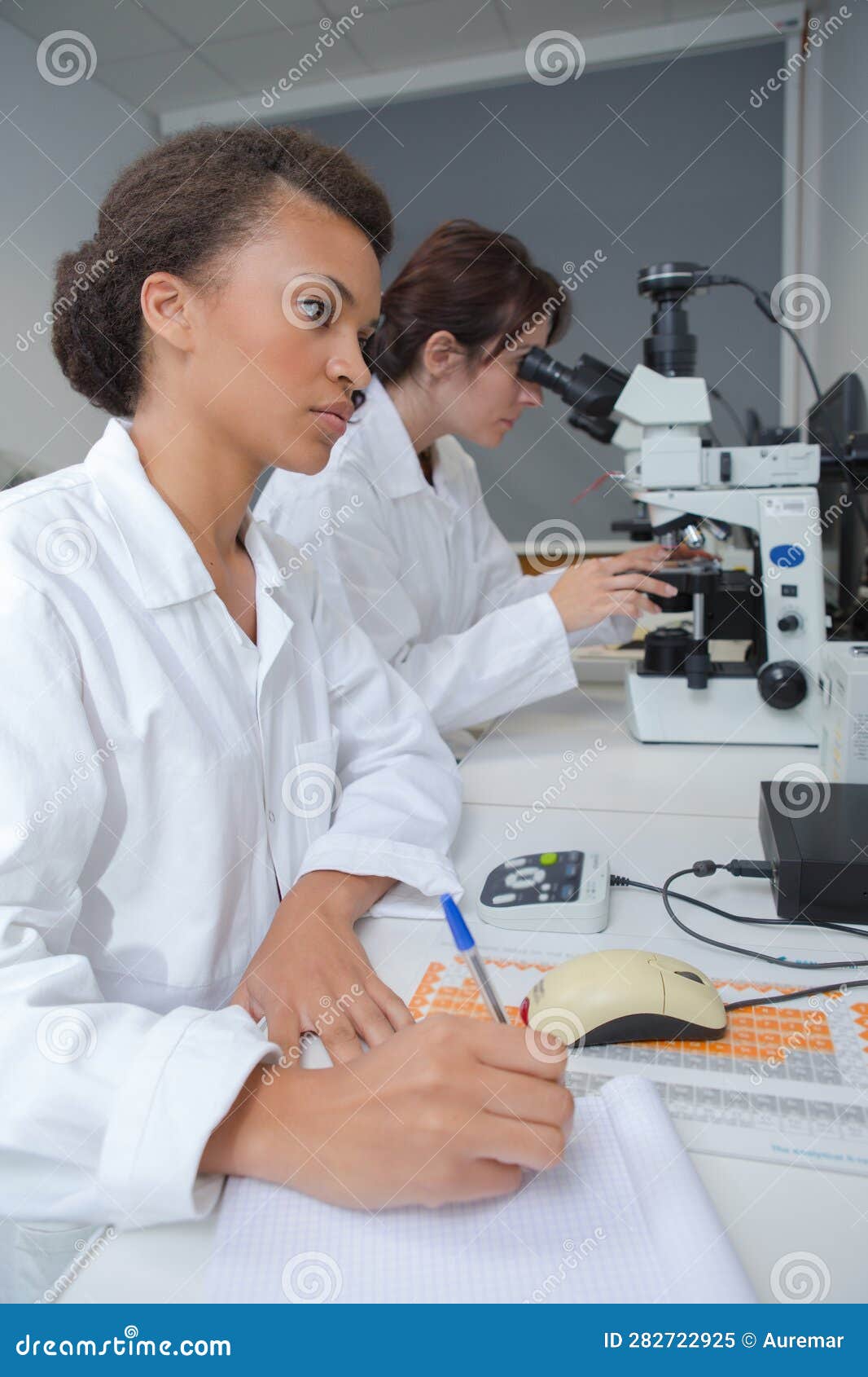 Female Scientists Doing Chemical Test in Laboratory Stock Image - Image ...