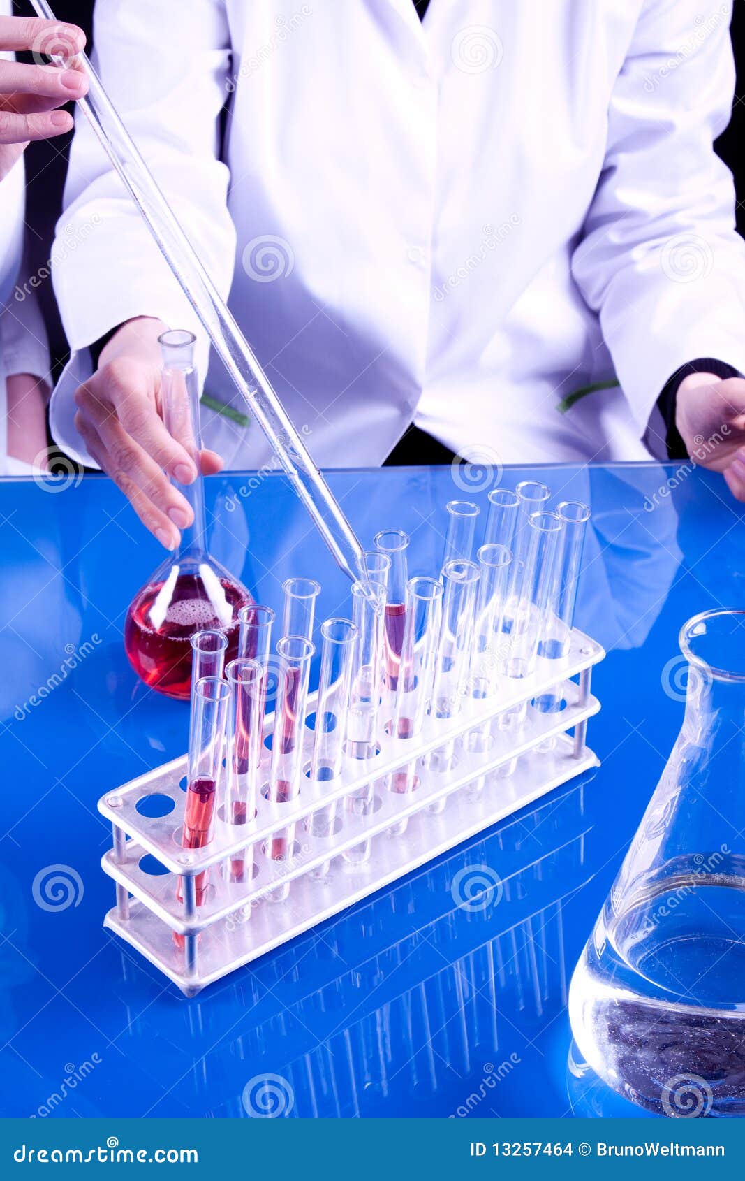 Scientists Are Experimenting And Research With Molecule Model, DNA ...