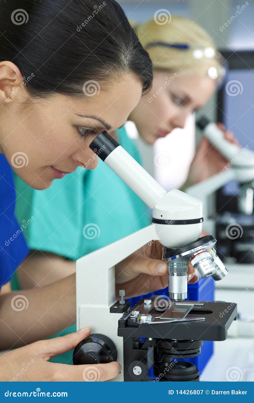 Female Scientists with Microscopes in a Laboratory Stock Image - Image ...